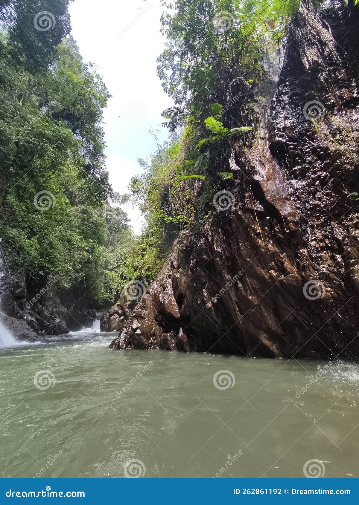 River Flowing between the Cliffs Stock Photo - Image of plant, river ...