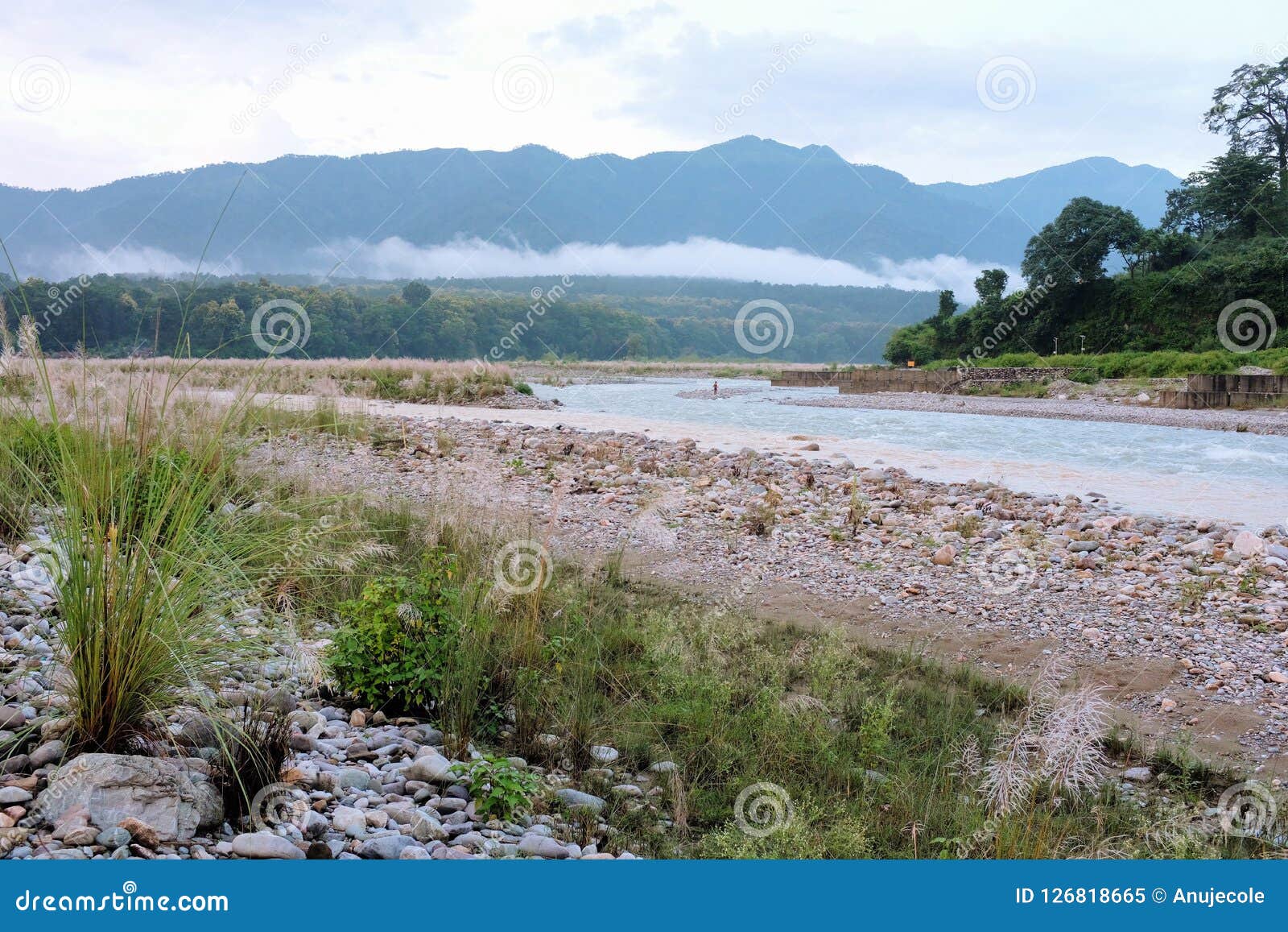 Rocky Riverside stock image. Image of river, rocky, flowing - 126818665