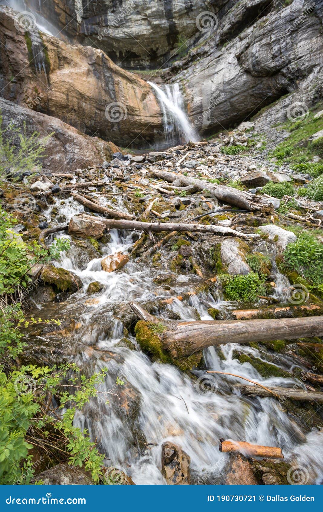Waterfall with Fallen Logs and Moss Covered Rocks Stock Image - Image ...