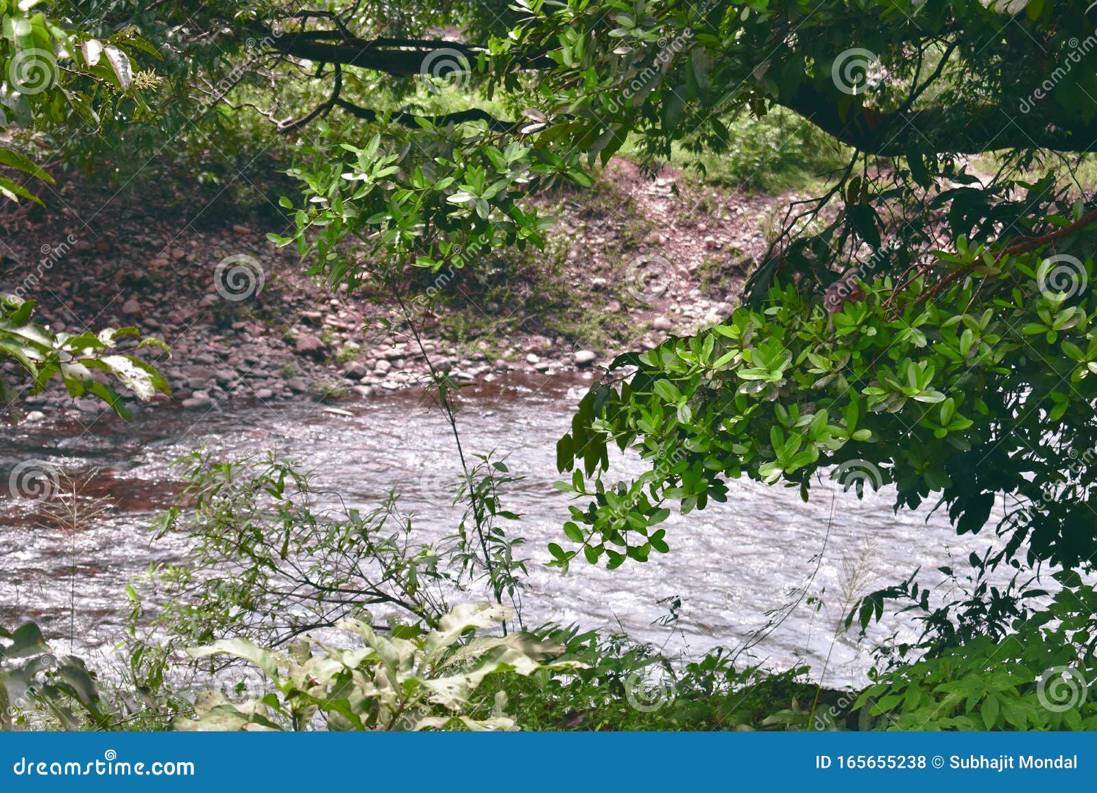 River Flowing Downhill in Goa India Stock Photo - Image of boating ...