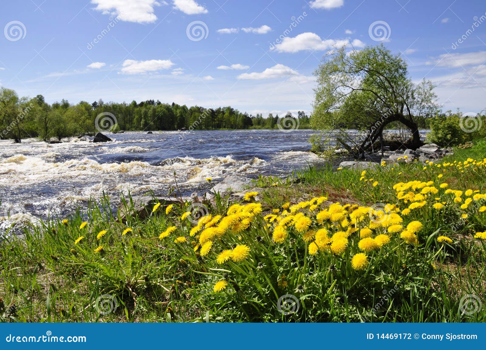 River flowing downstream stock photo. Image of blue, beautiful - 14469172