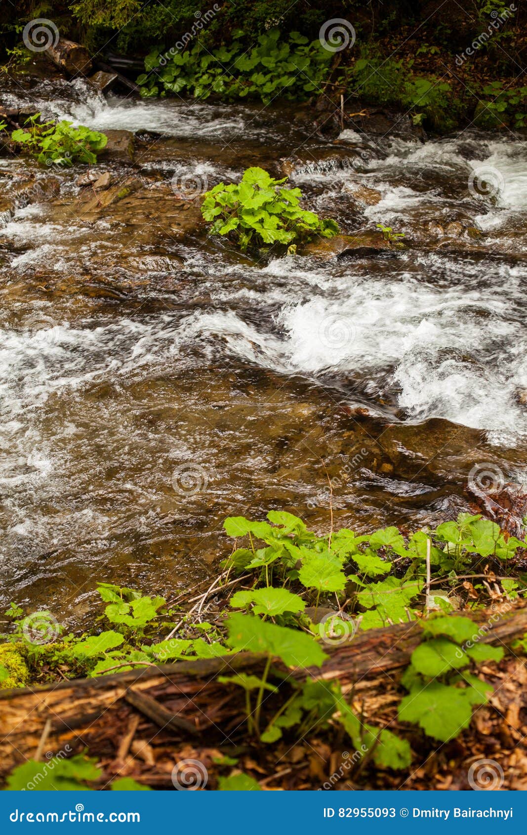 The River is Flowing Downstream Stock Image - Image of watercourse ...