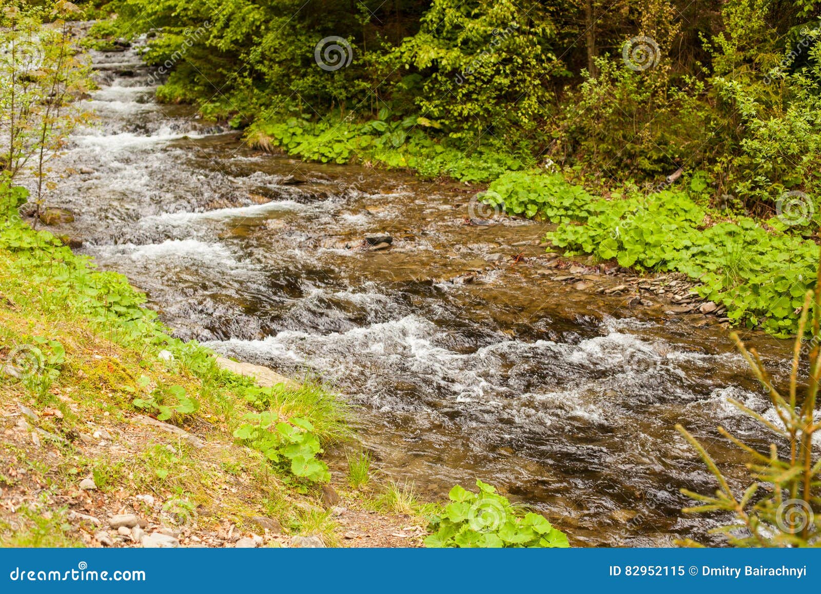 The River is Flowing Downstream Stock Image - Image of motion, forest ...