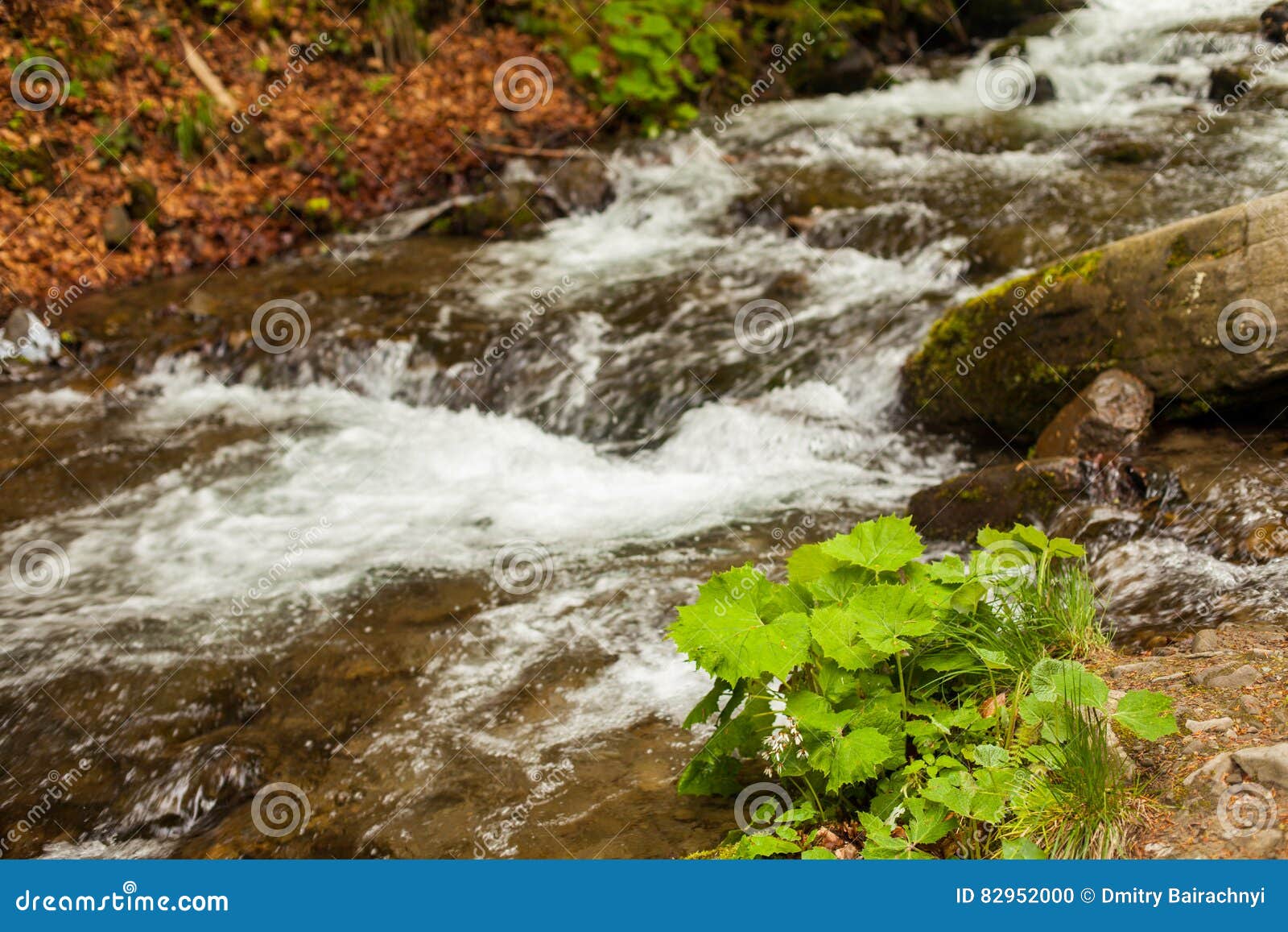 The River is Flowing Downstream Stock Photo - Image of stones, flowing ...