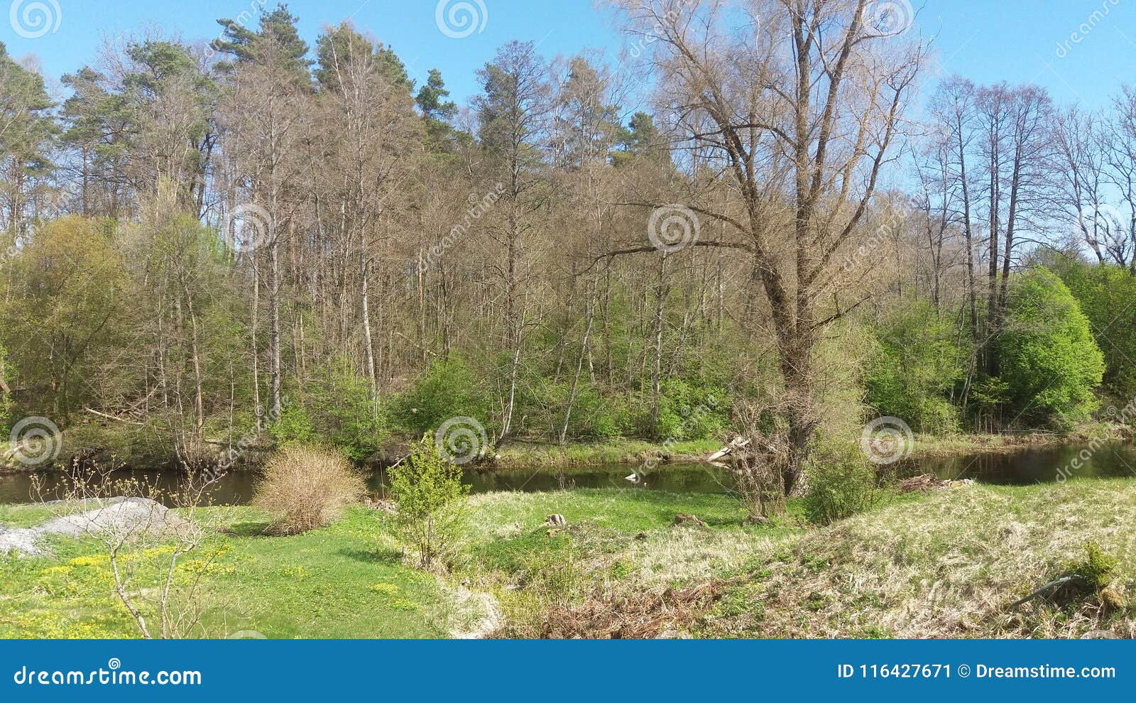 Estonian Hot Spring Stock Photos - Free & Royalty-Free Stock Photos ...