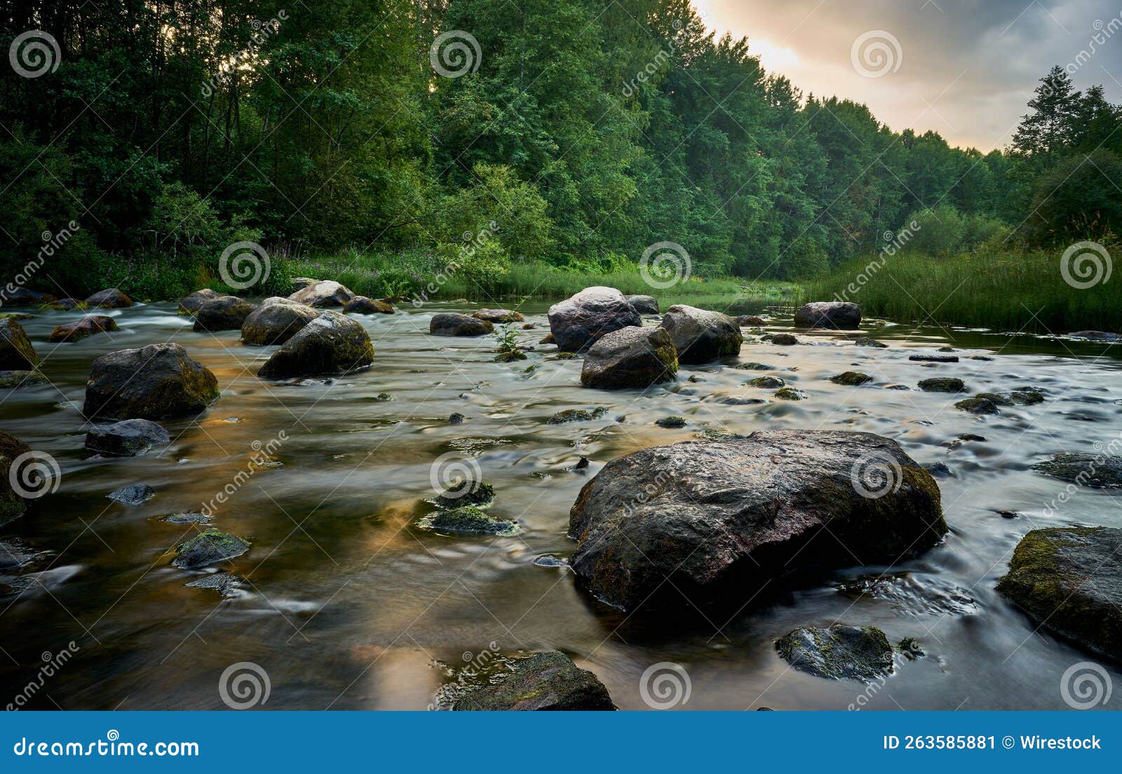 River Flowing through a Forest during a Sunset Stock Image - Image of ...