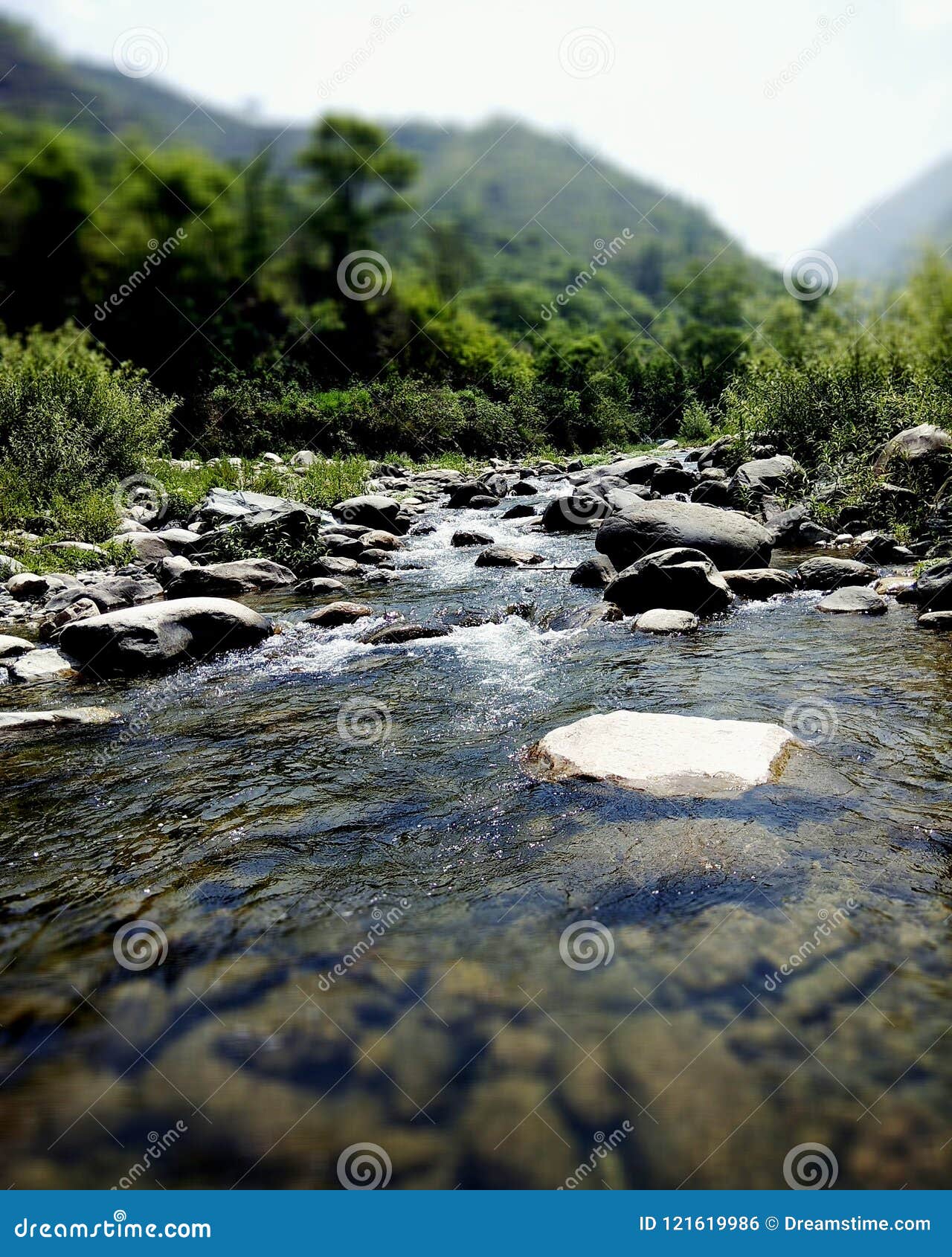 River trees and hills stock photo. Image of river, hills - 121619986