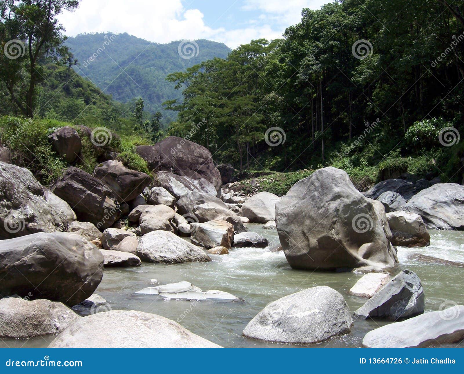 River Flowing within Huge Rocks Stock Photo - Image of forests ...