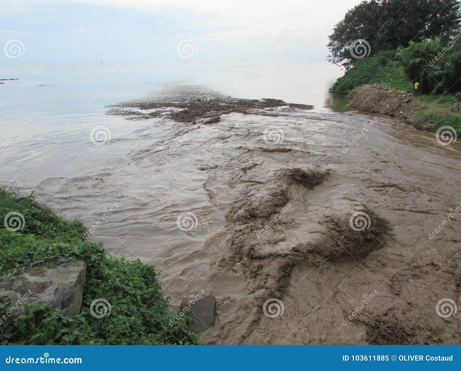 A river flowing into lake stock image. Image of sebeya - 103611885