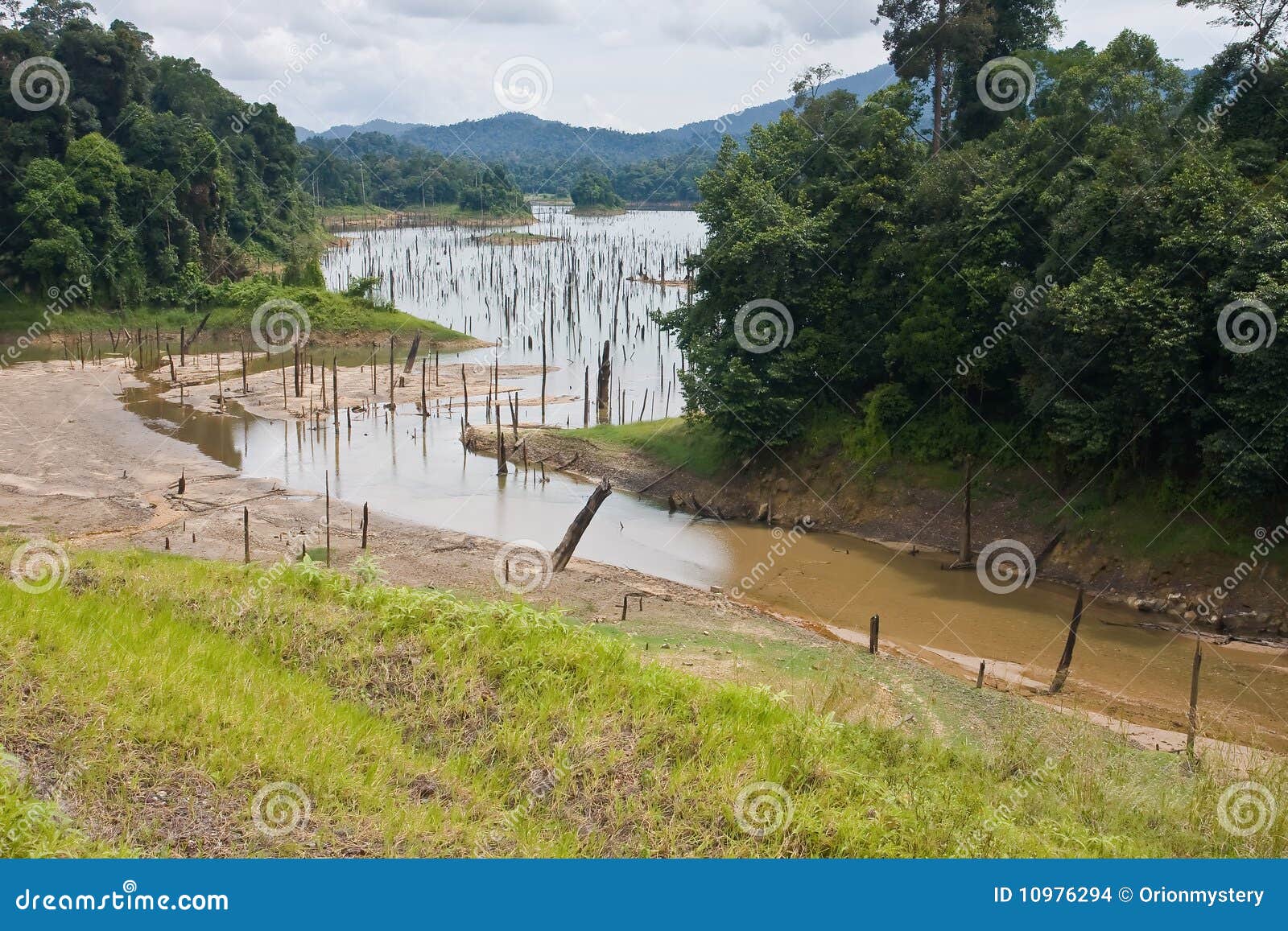 A River Flowing into a Lake, with Trees/jungles Stock Photo - Image of ...