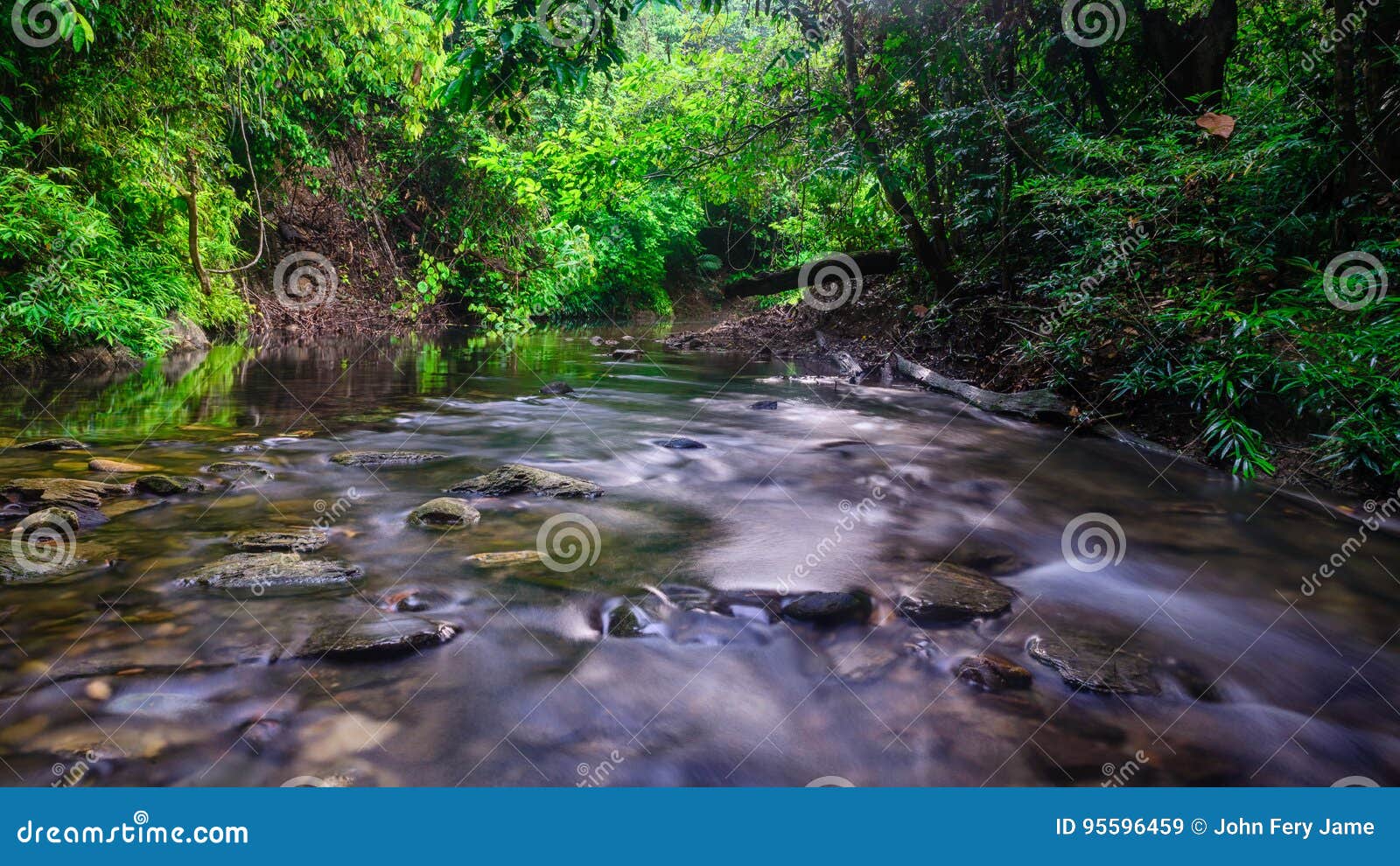 River Flowing stock image. Image of seridan, river, riverforest - 95596459