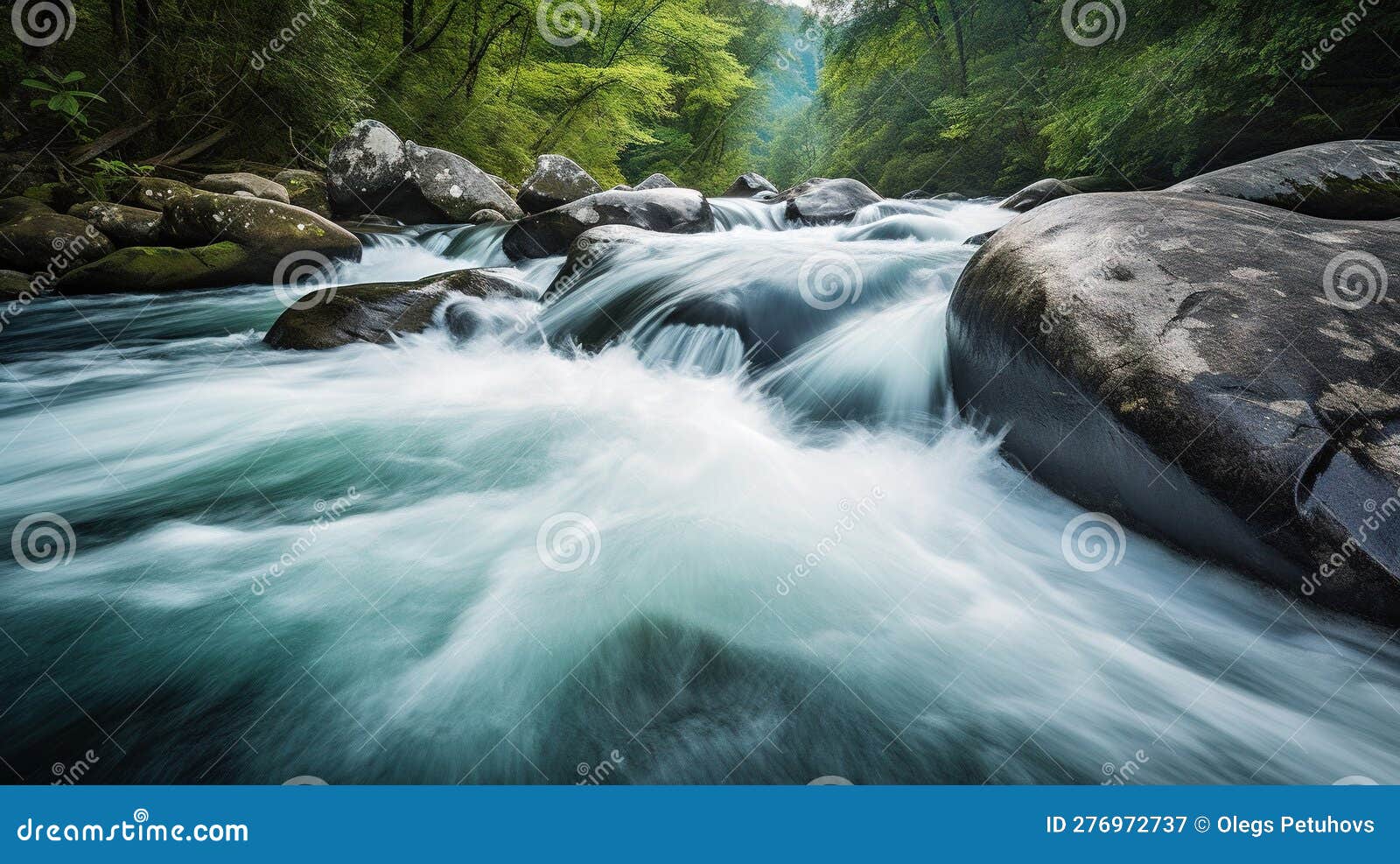 A River Flowing through a Lush Green Forest Filled with Rocks Stock ...