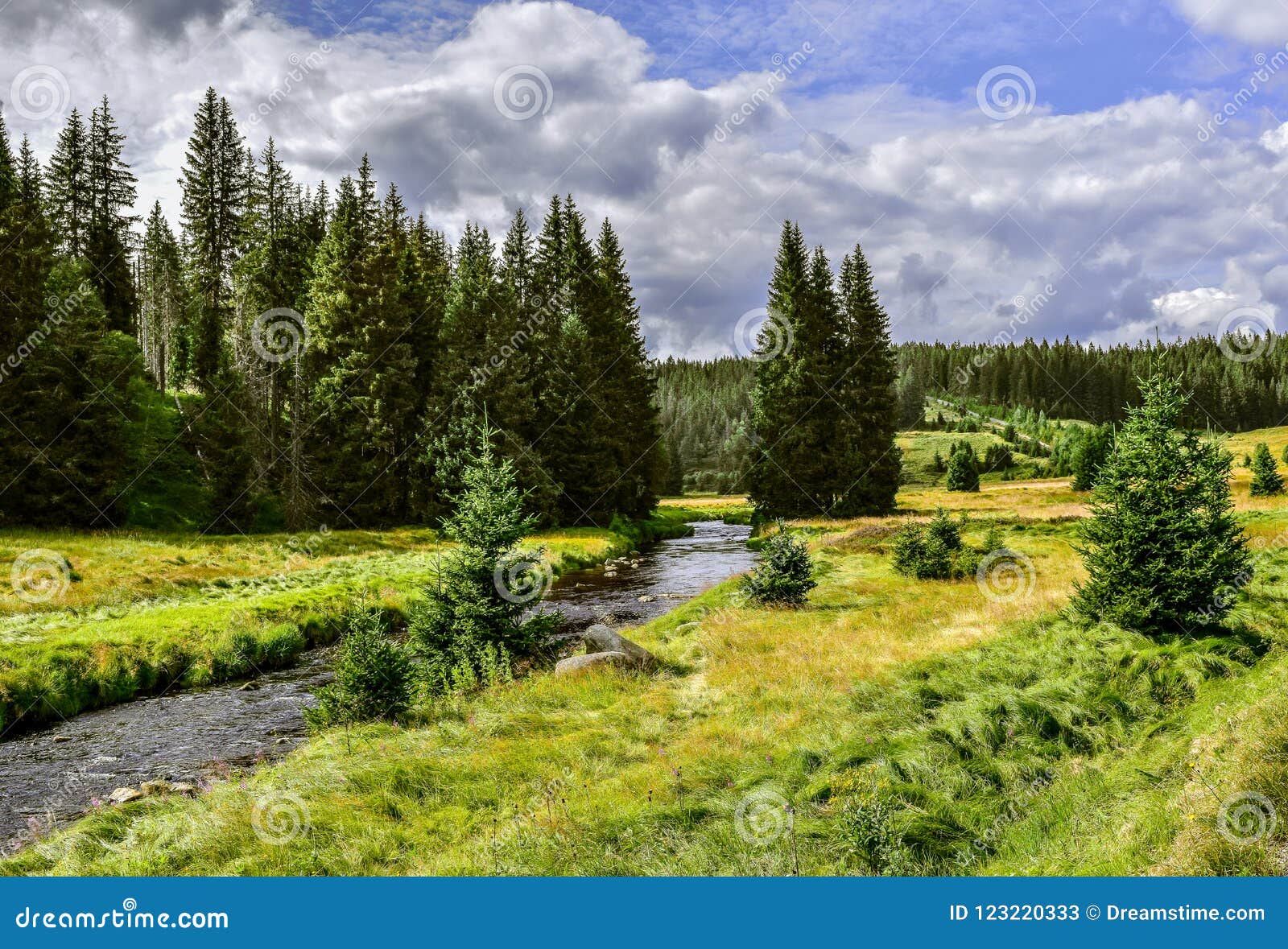 River Flowing through the Meadow. Stock Image - Image of sumava, czech ...