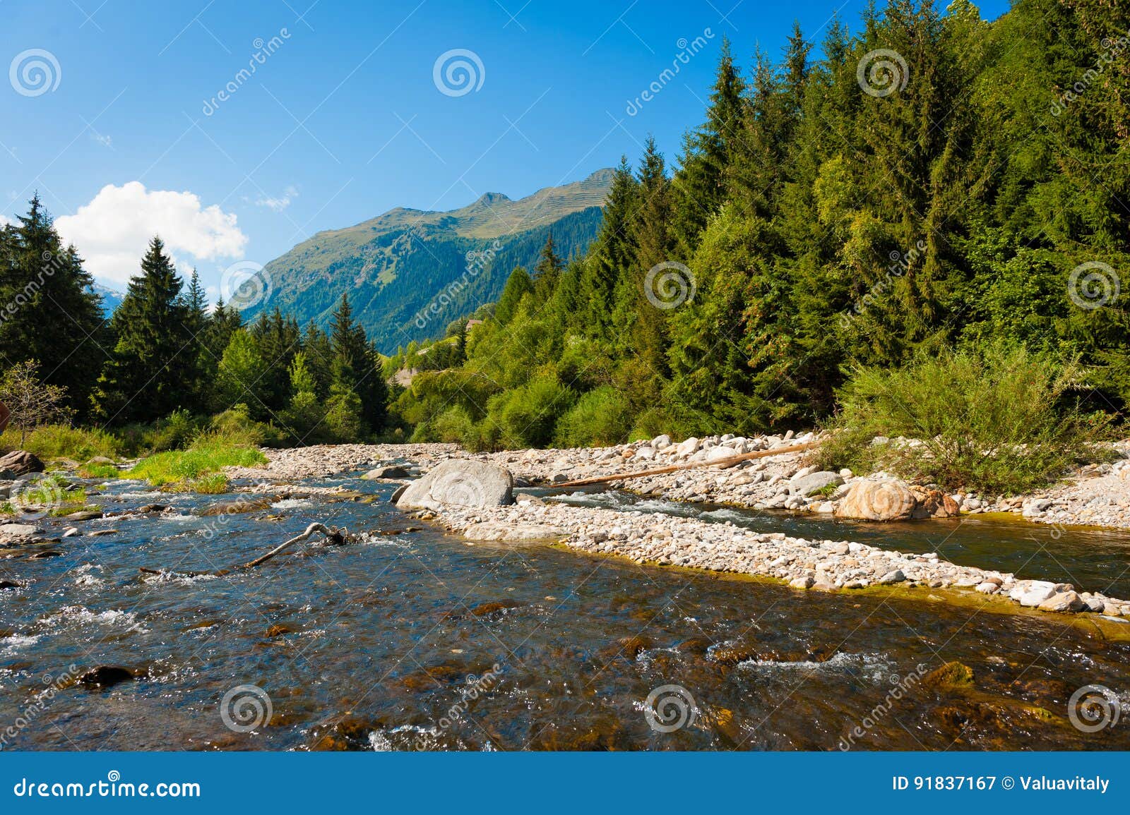 River Flowing through a Mountain Forest. Stock Image - Image of wood ...