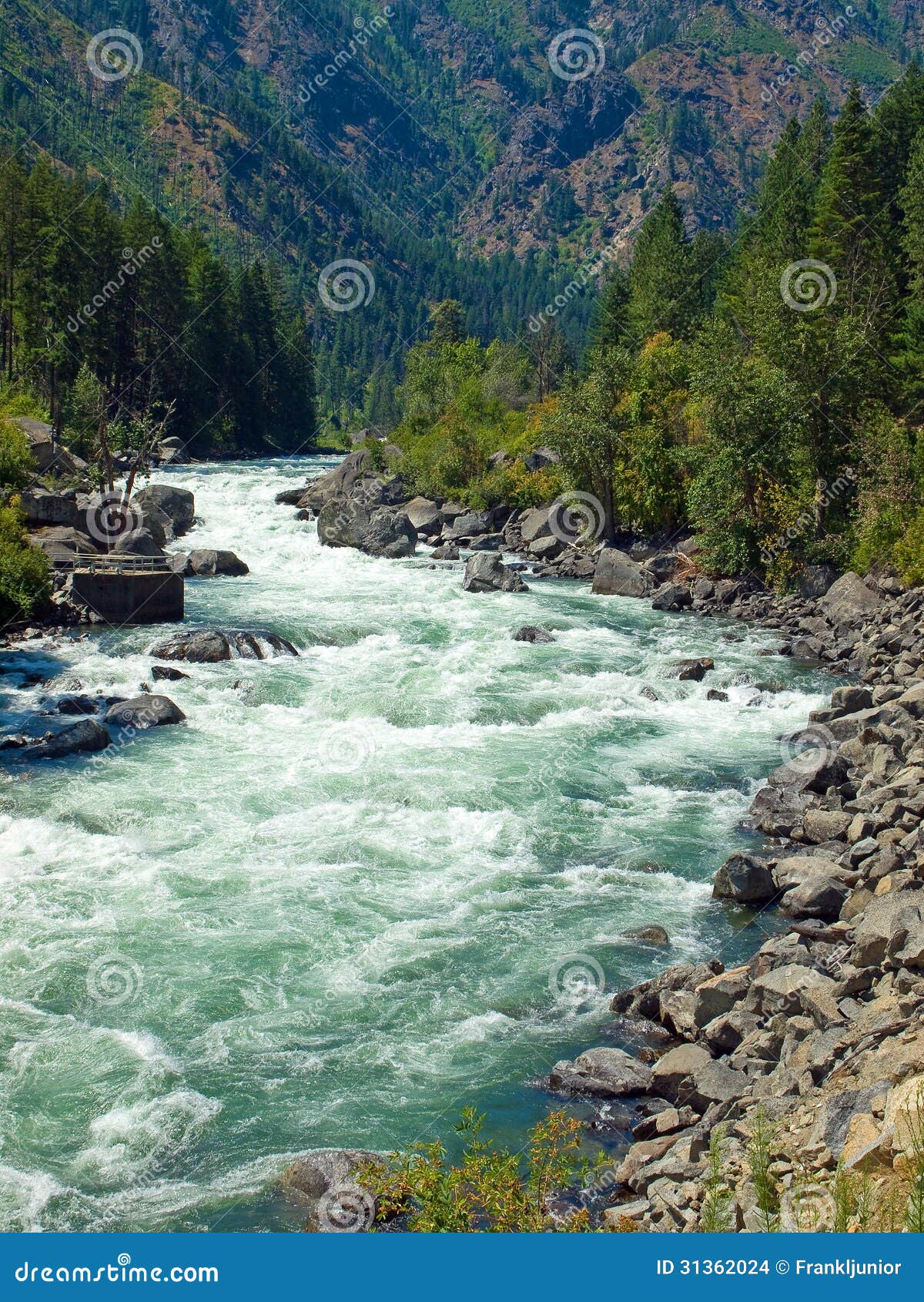 A River Flowing through a Mountain Forest Stock Photo - Image of park ...