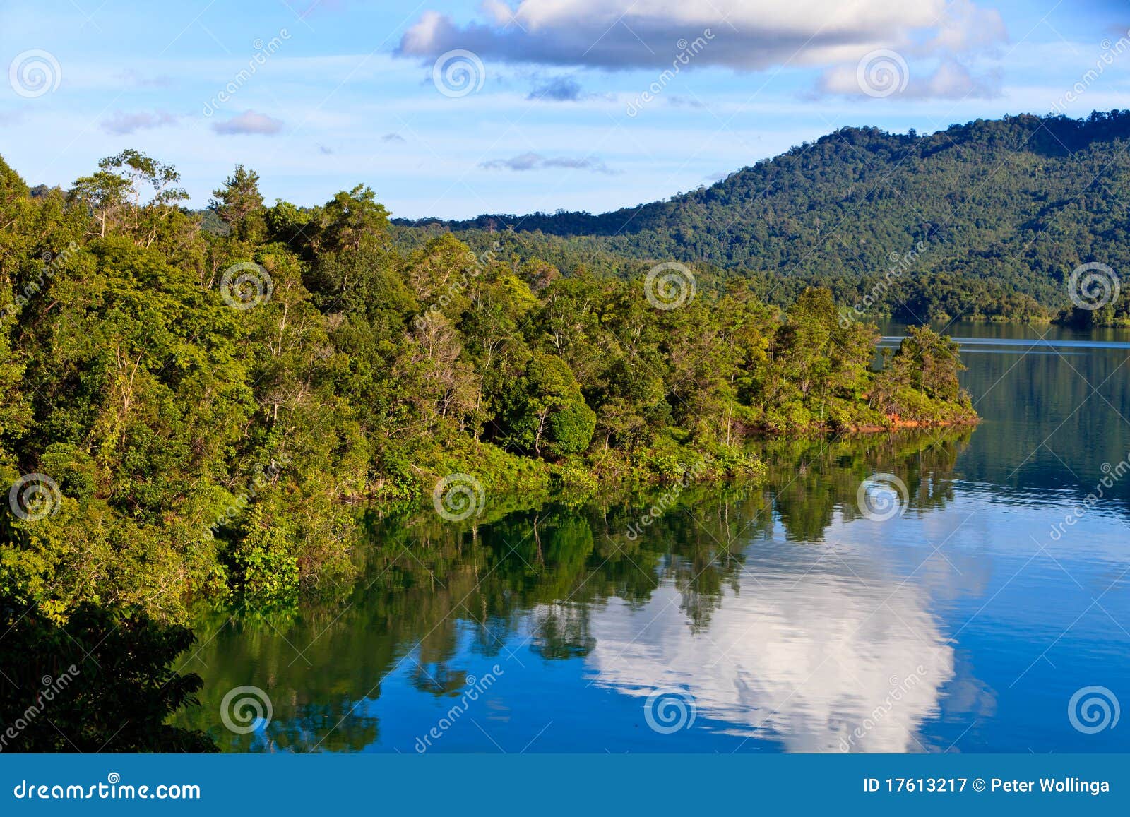 A River Flowing through a Rainforest Stock Image - Image of rain, lake ...
