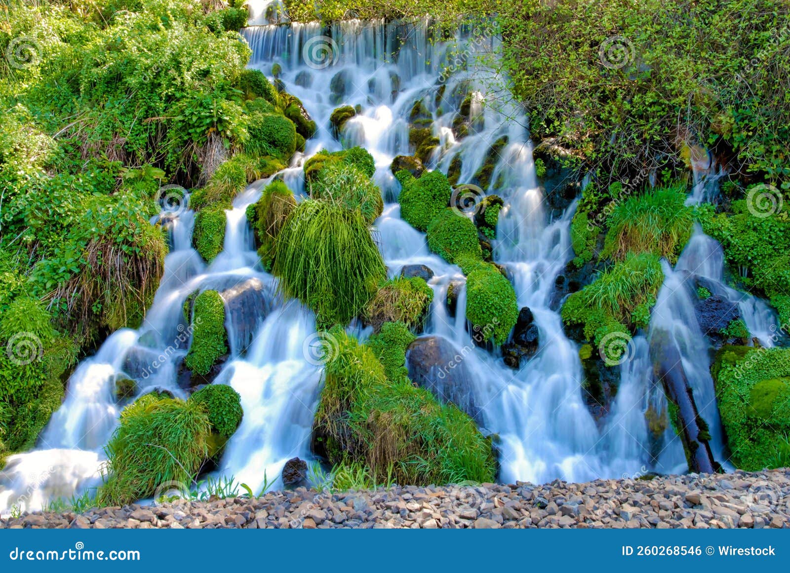 River Flowing through the Rocks Surrounded by the Forests Under the ...