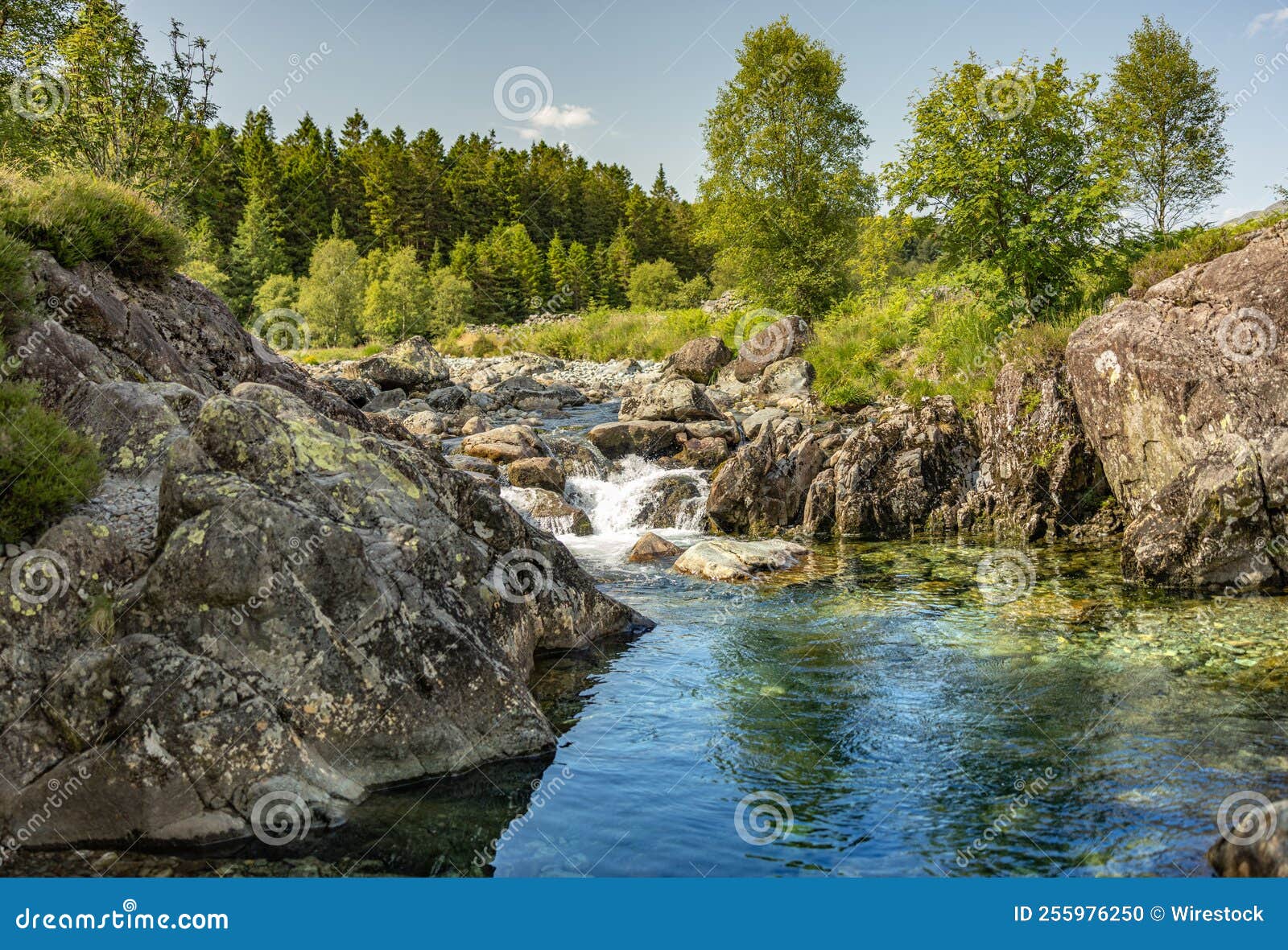 River Flowing between Rocky Cliffs with Green Trees Stock Photo - Image ...