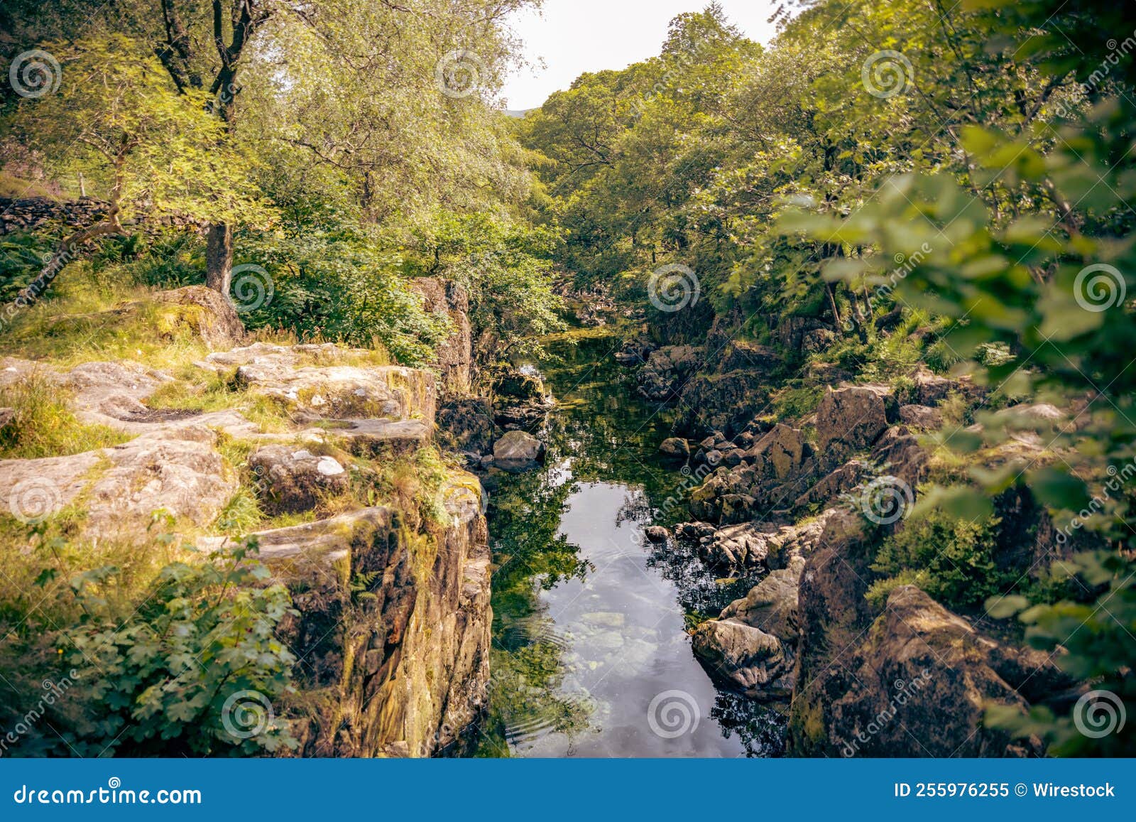 River Flowing between Rocky Cliffs with Green Trees Stock Image - Image ...