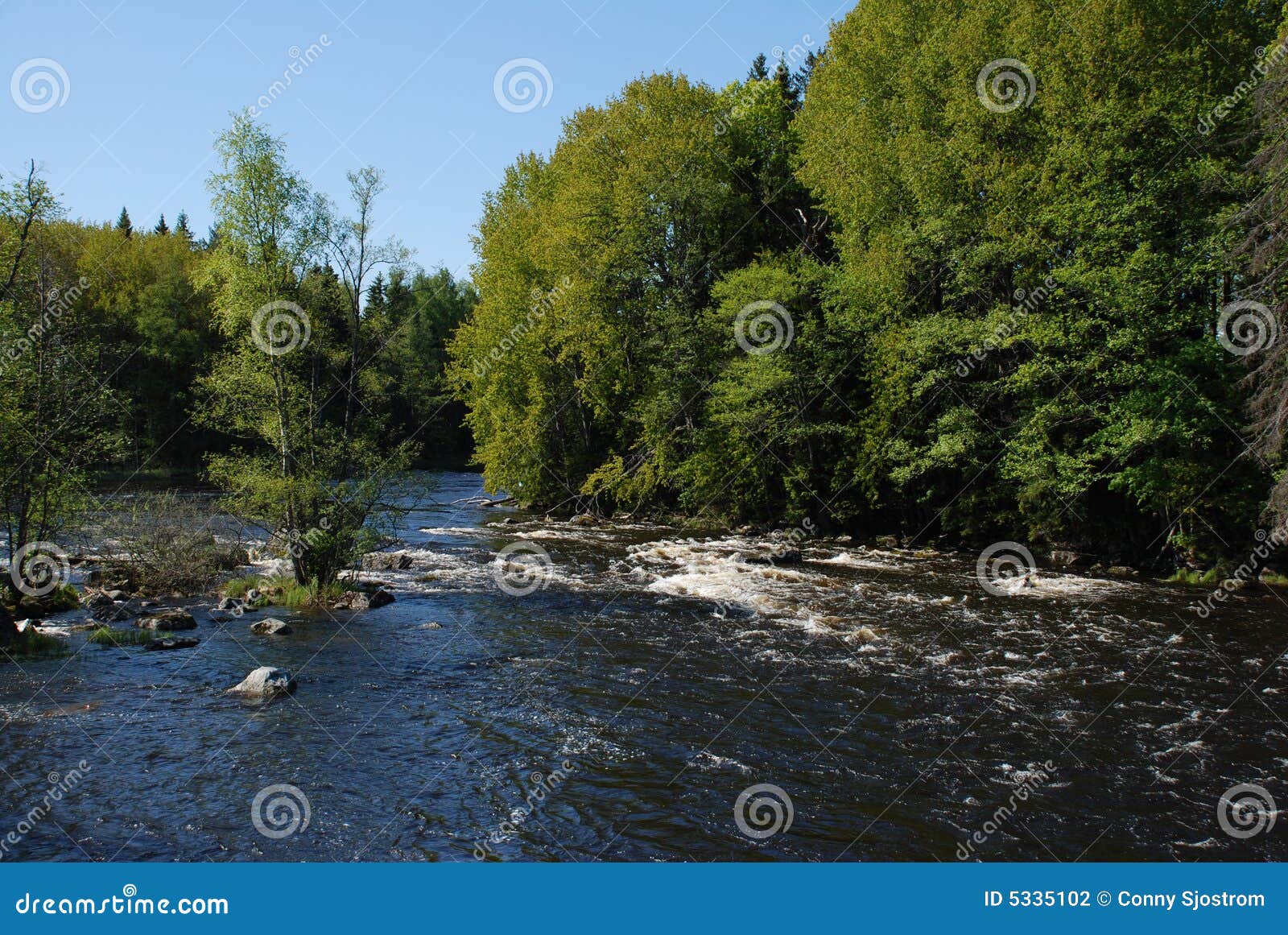 River Flowing in the Spring Stock Photo - Image of current, forest: 5335102