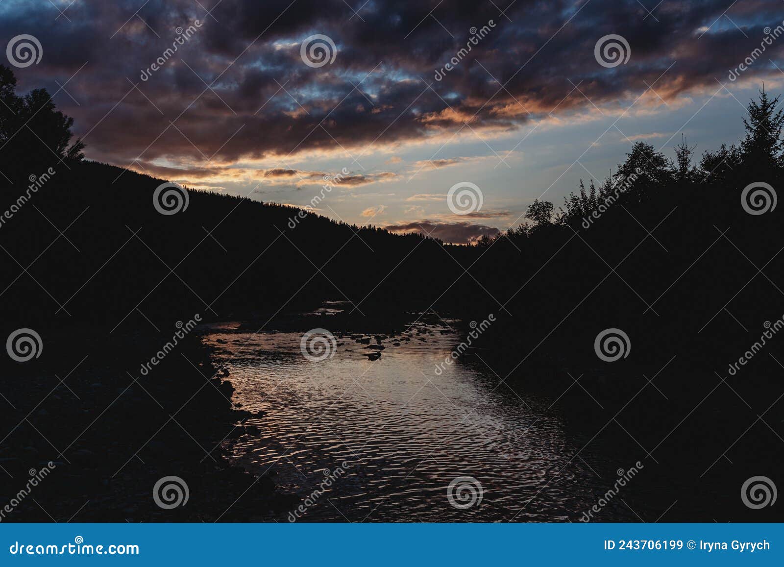 River Flowing through the Trees Stock Image - Image of bush, mountain ...
