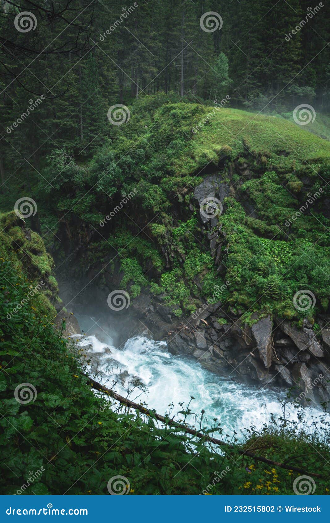 River Flowing Trough the Forest. Stock Photo - Image of flowing, high ...