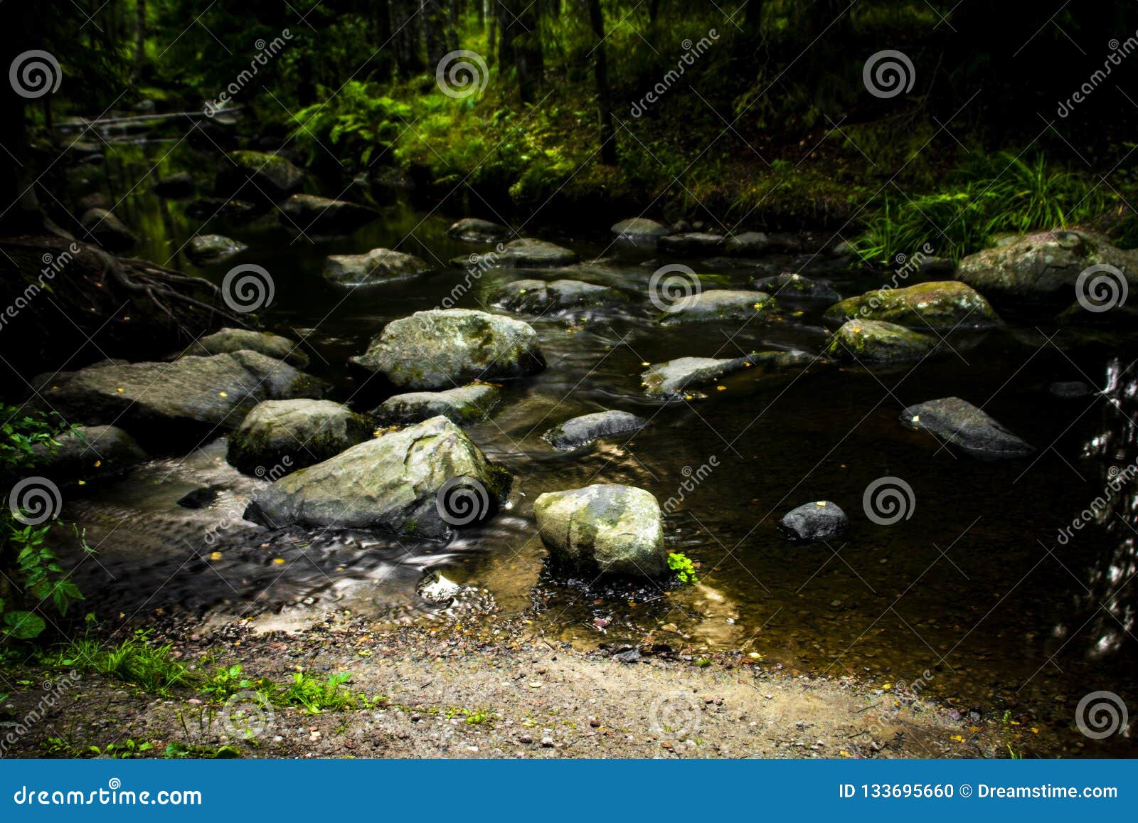 River stock photo. Image of long, summer, trees, sand - 133695660
