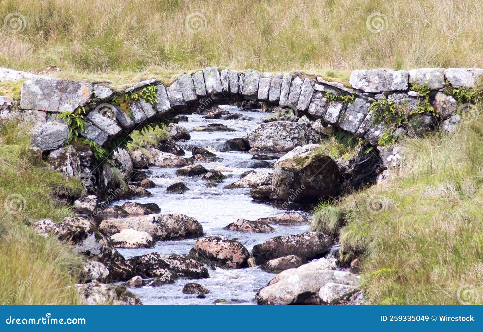 River Flowing Under a Small Stone Bridge Stock Image - Image of outside ...