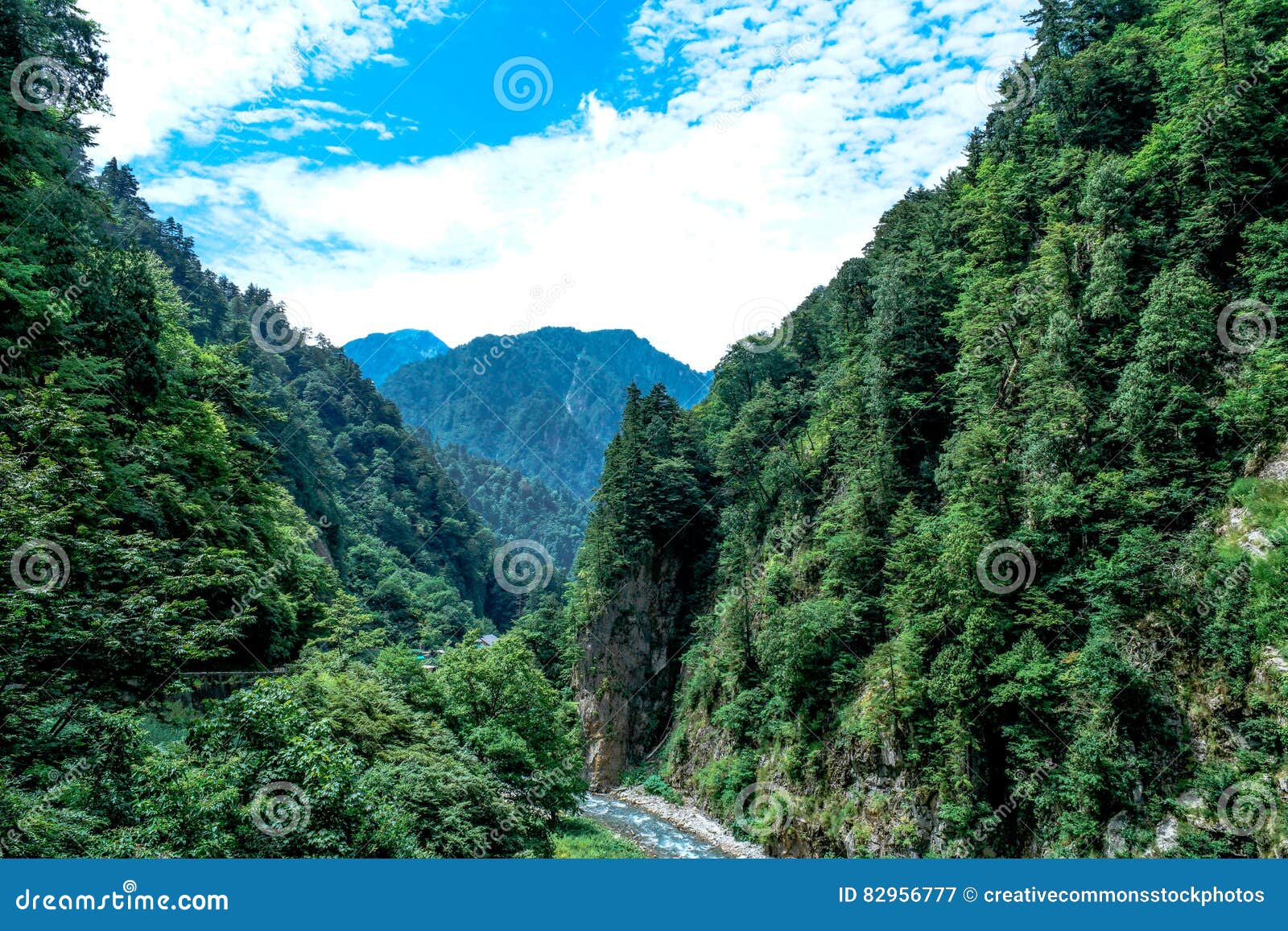 River Flowing Through Valley With Forest Picture. Image: 82956777