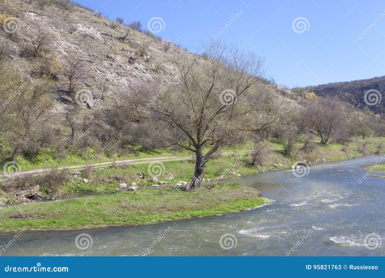 River flowing water stock image. Image of idyllic, scenery - 95821763