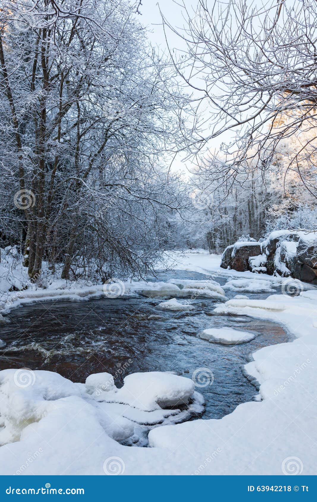 River Flowing through the Winter Forest Stock Photo - Image of rocky ...