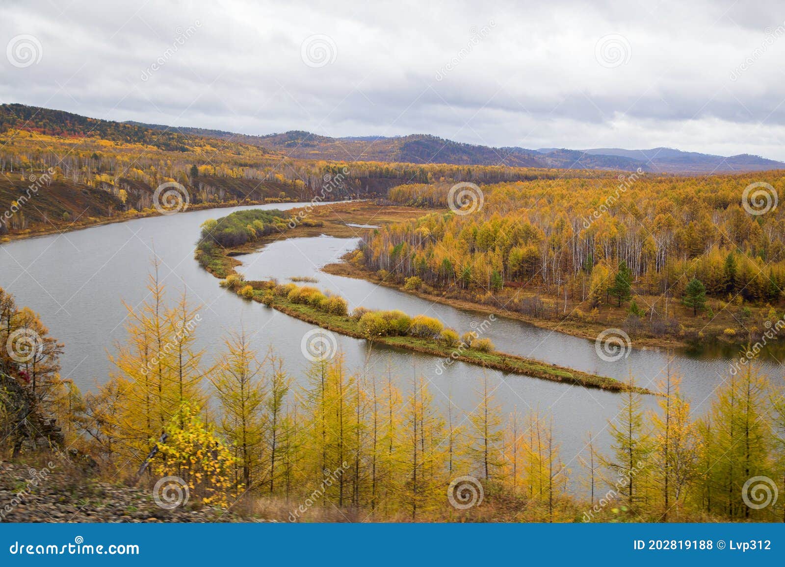 The River Flows through the Autumn Forest. Stock Photo - Image of ...
