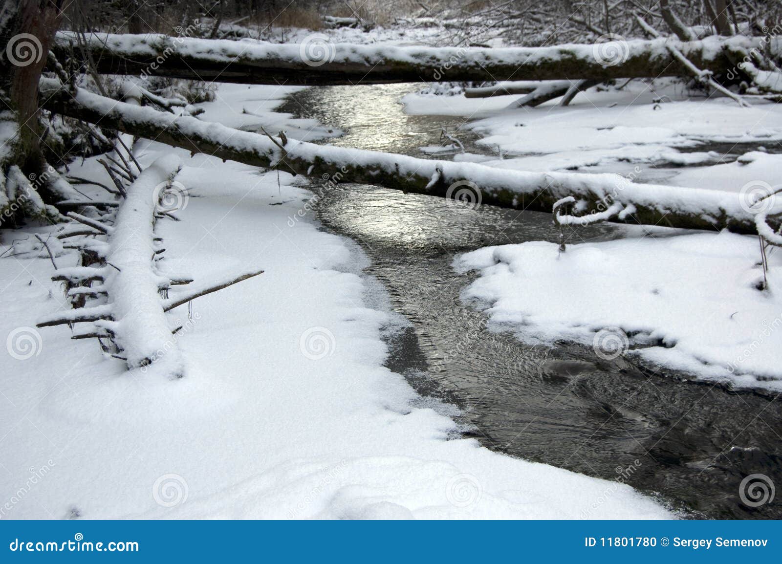 A River Flows through Deep Winter Forest Stock Photo - Image of ...