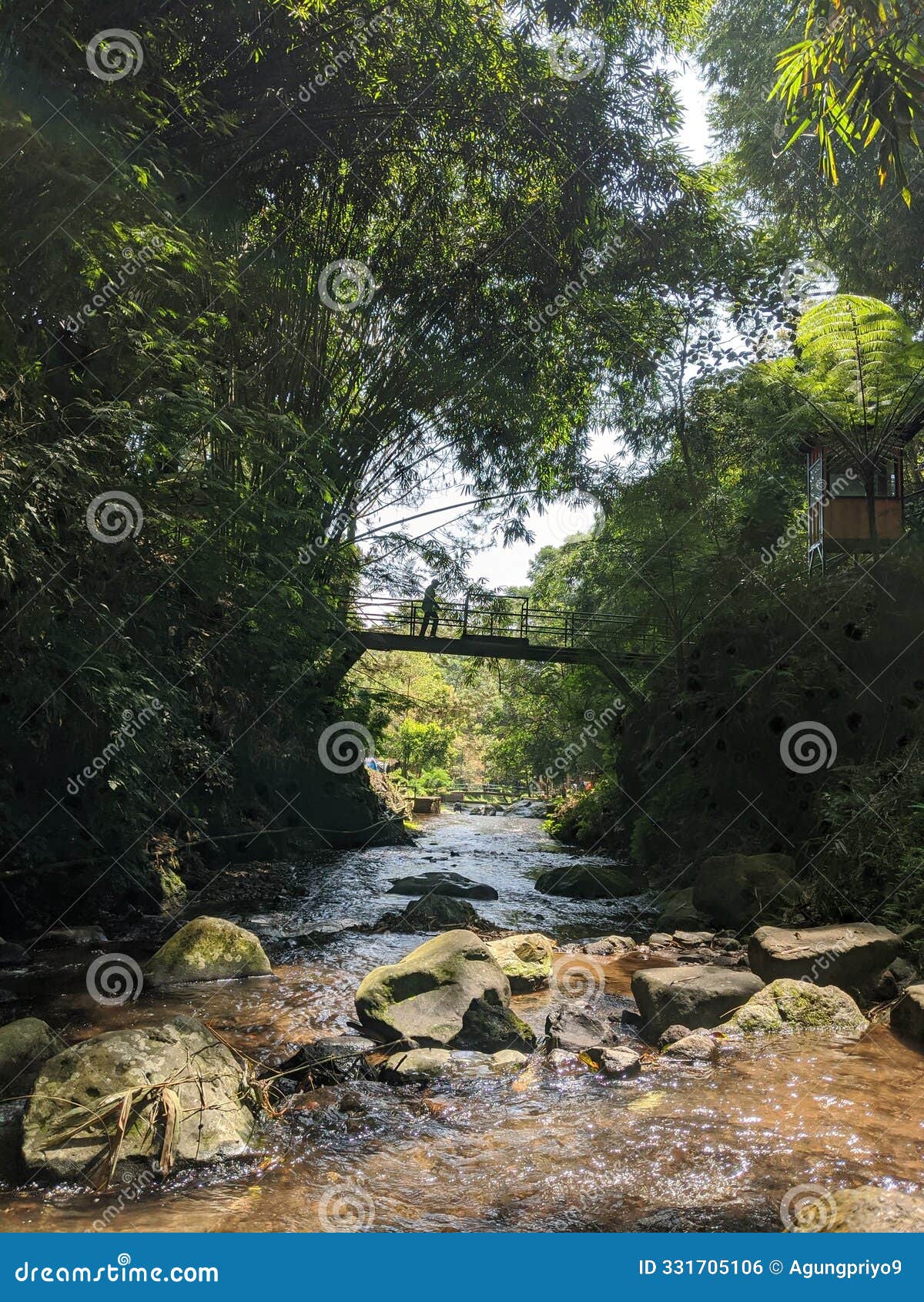 A River Flows through a Forest with Large Rock Stock Photo - Image of ...