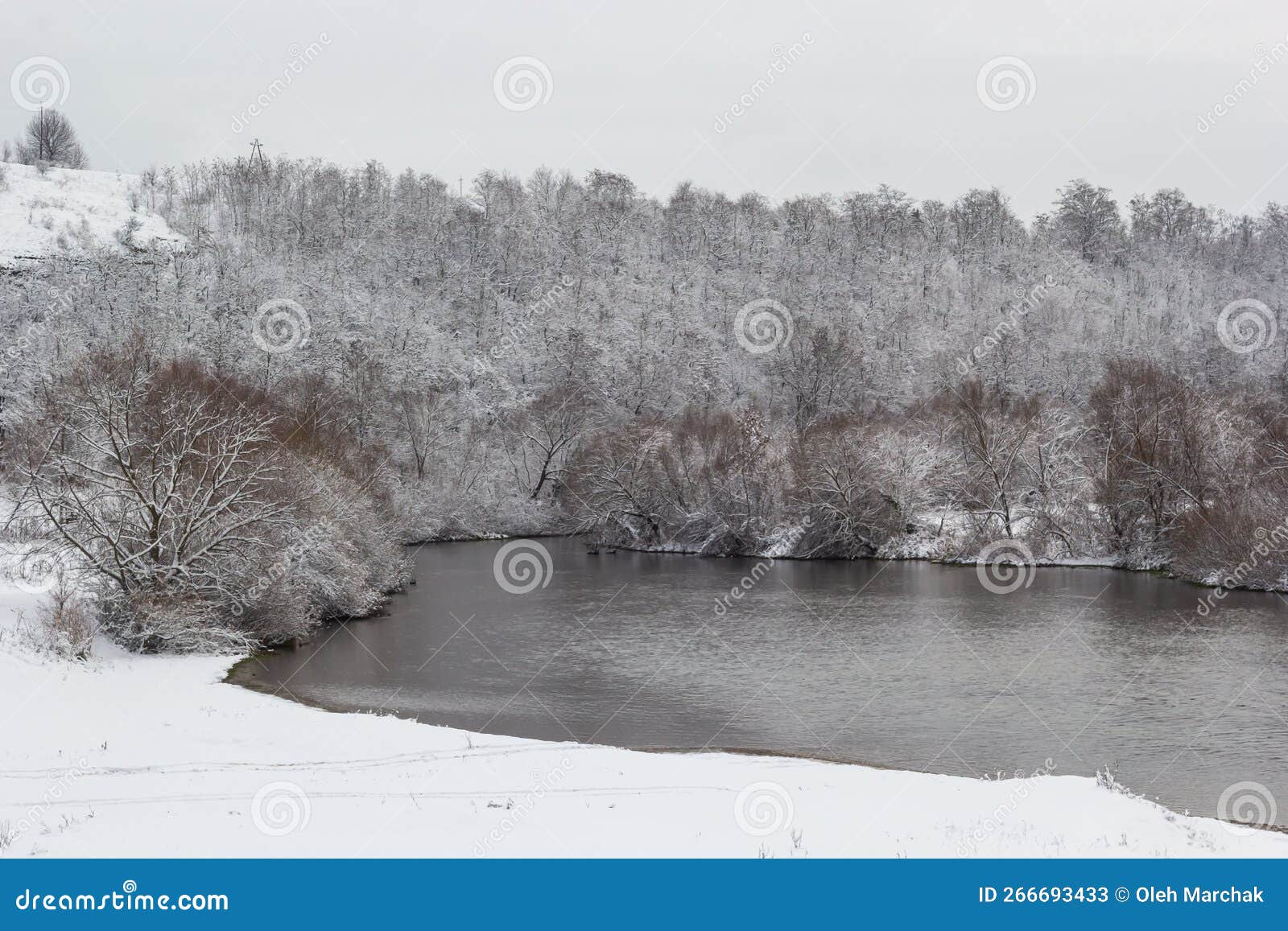 The River Flows through the Forest. in Late Fall in the Forest the ...