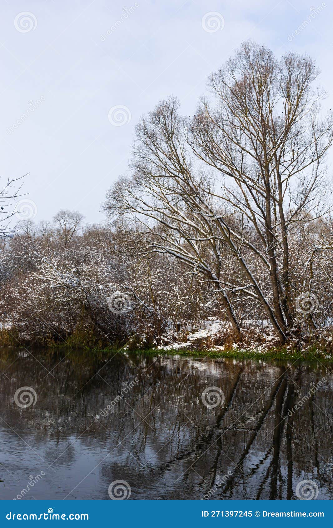 The River Flows through the Forest. in Late Fall in the Forest the ...