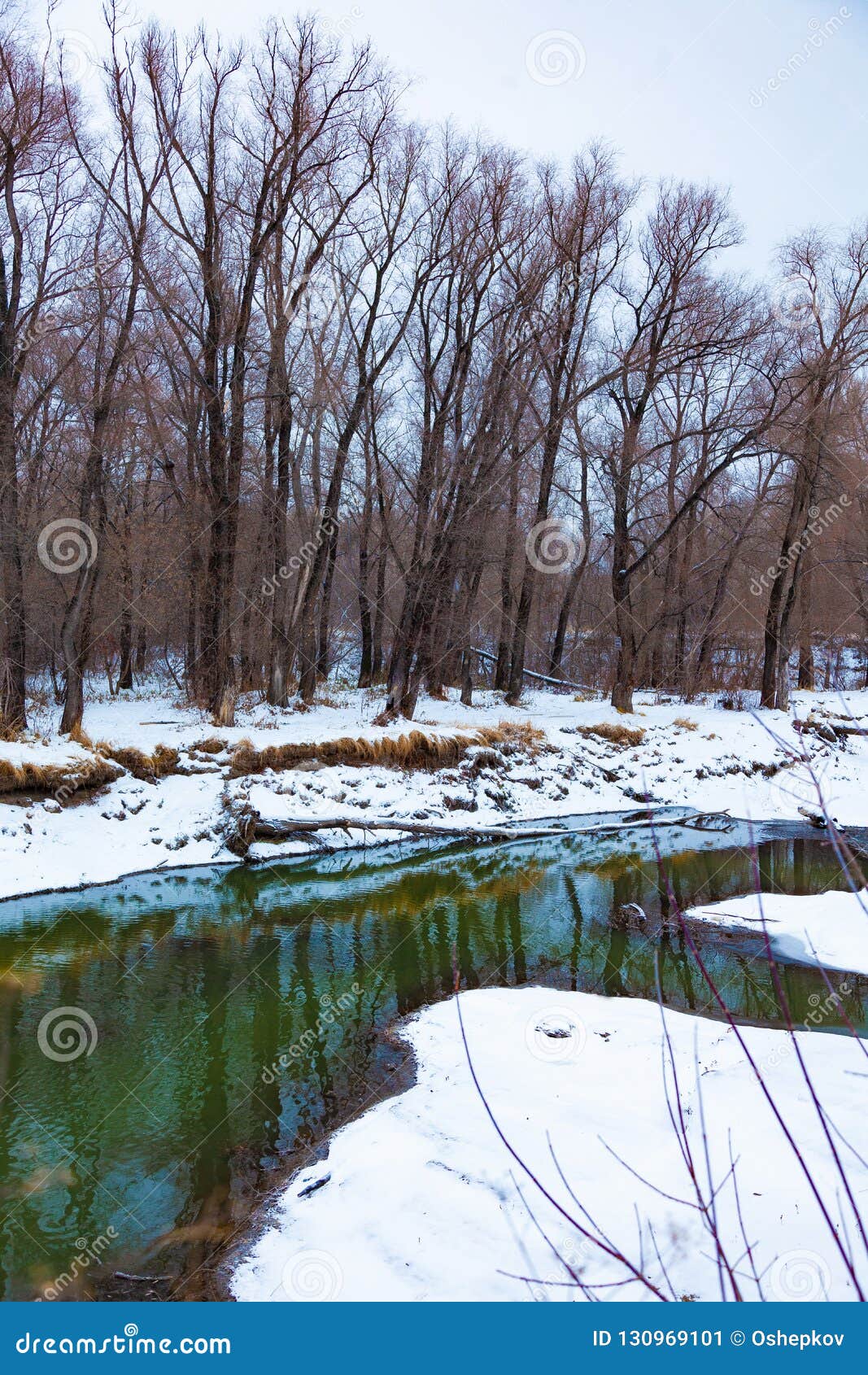 The River that Flows in the Forest in Winter. Stock Image - Image of ...