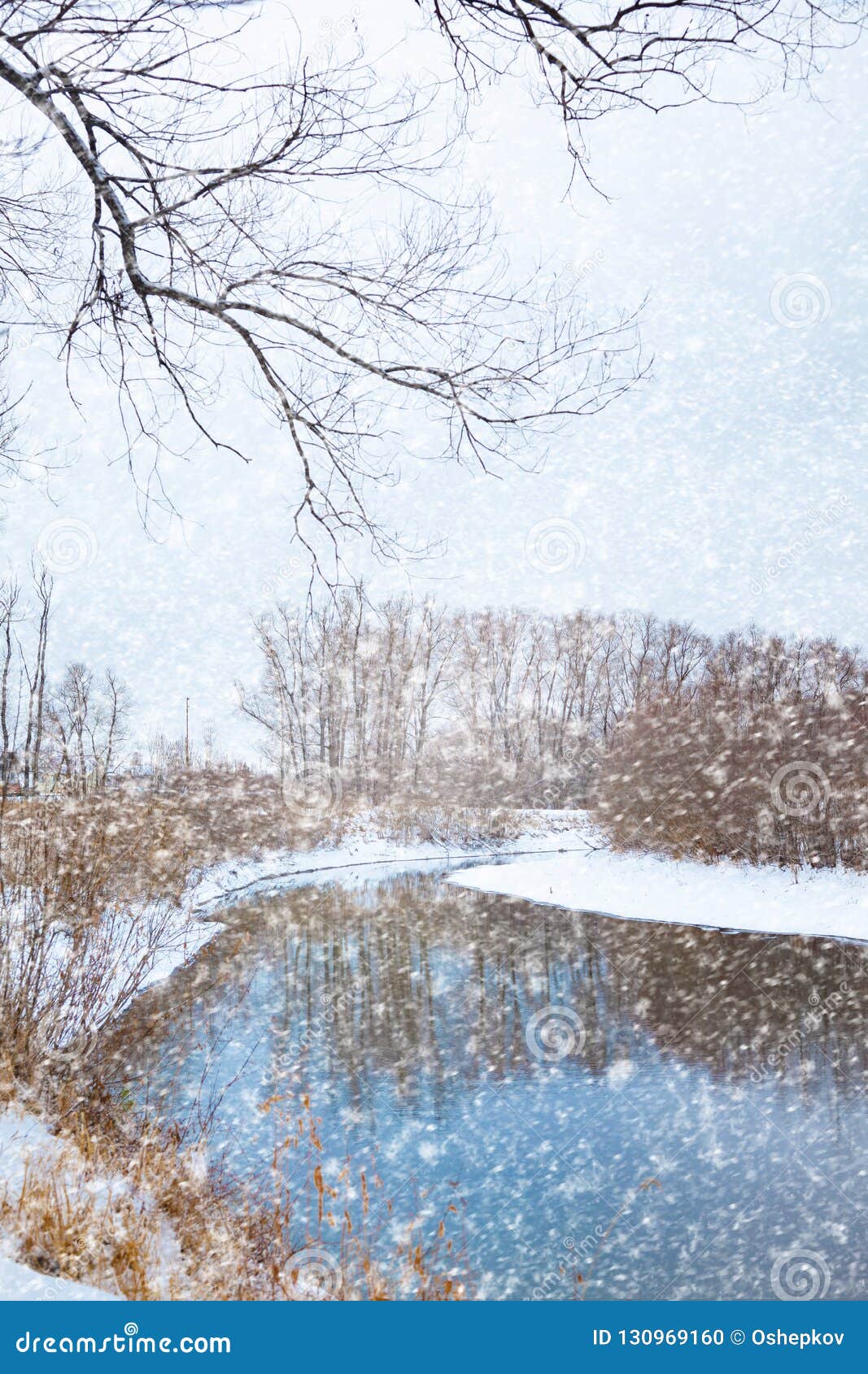 The River that Flows in the Forest in Winter. Stock Photo - Image of ...