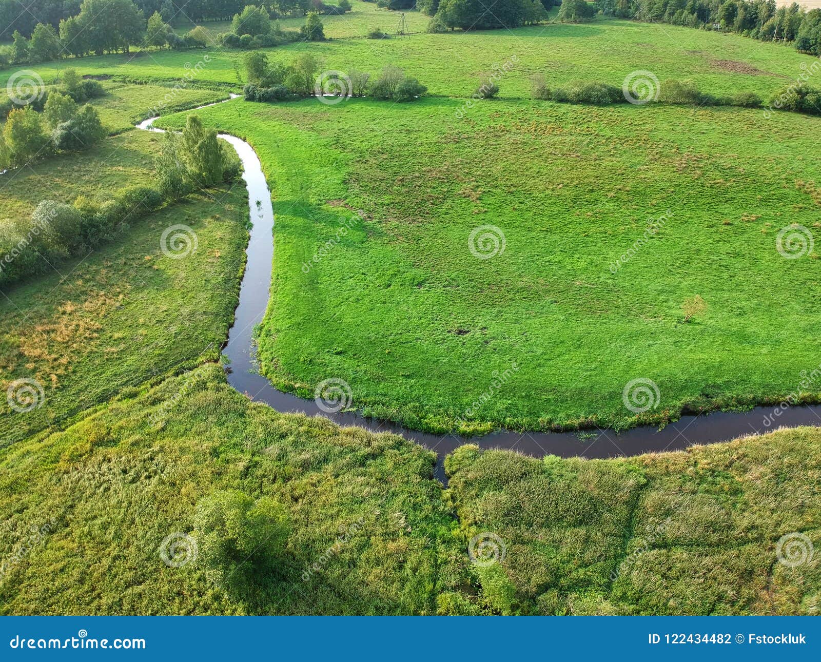 River Flows through the Green Meadow with Trees, Aerial View Stock ...