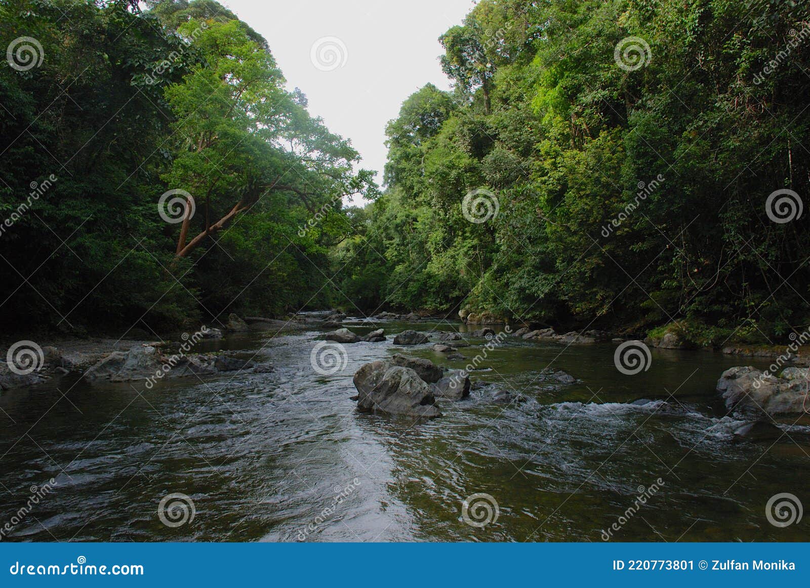 Jantho Nature Reserve Stock Photos - Free & Royalty-Free Stock Photos ...