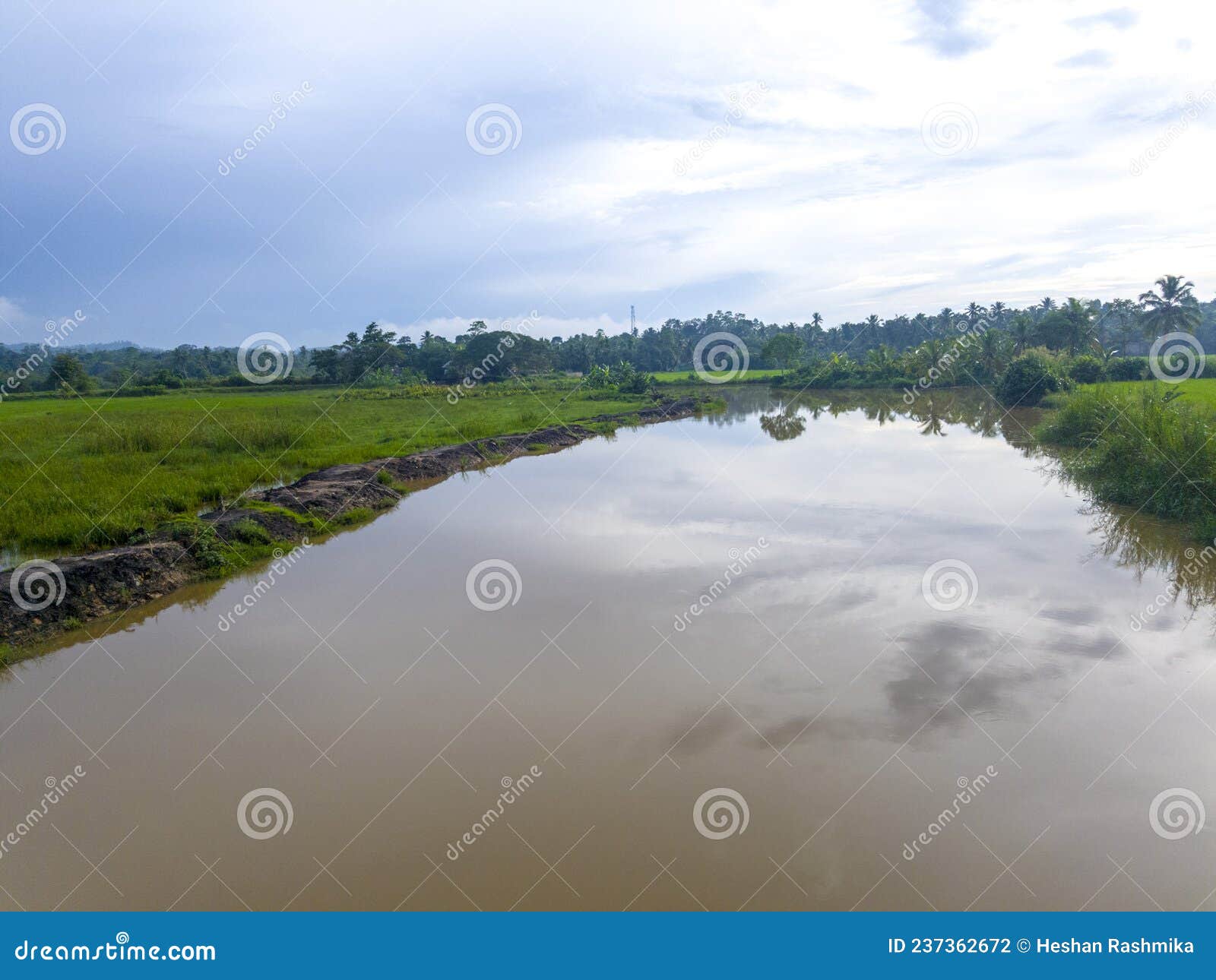 The River that Flows through the Middle of the Paddy Field _ Stock ...