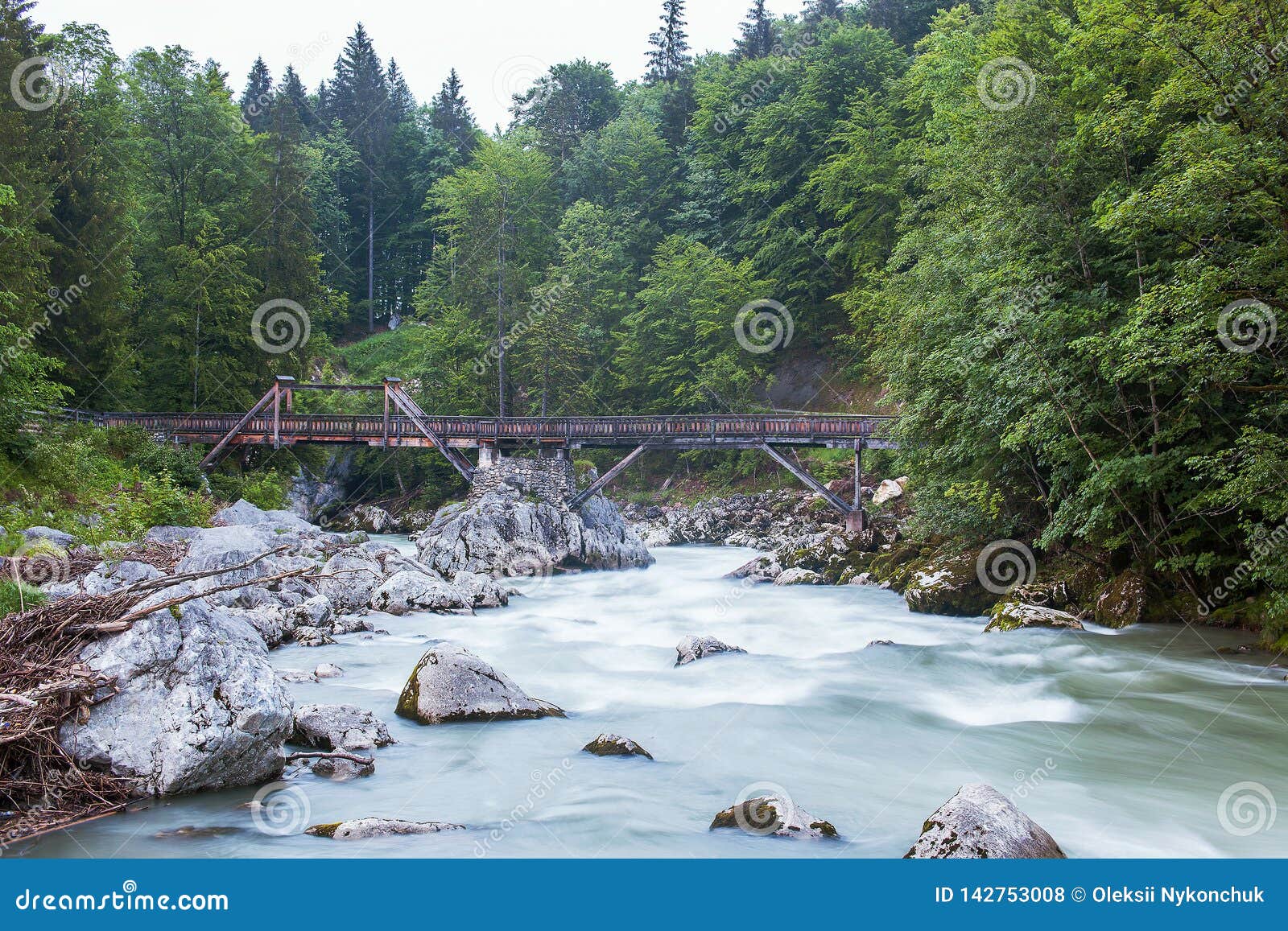The River Flows through a Mountainous Area in a Forest in the Austrian ...