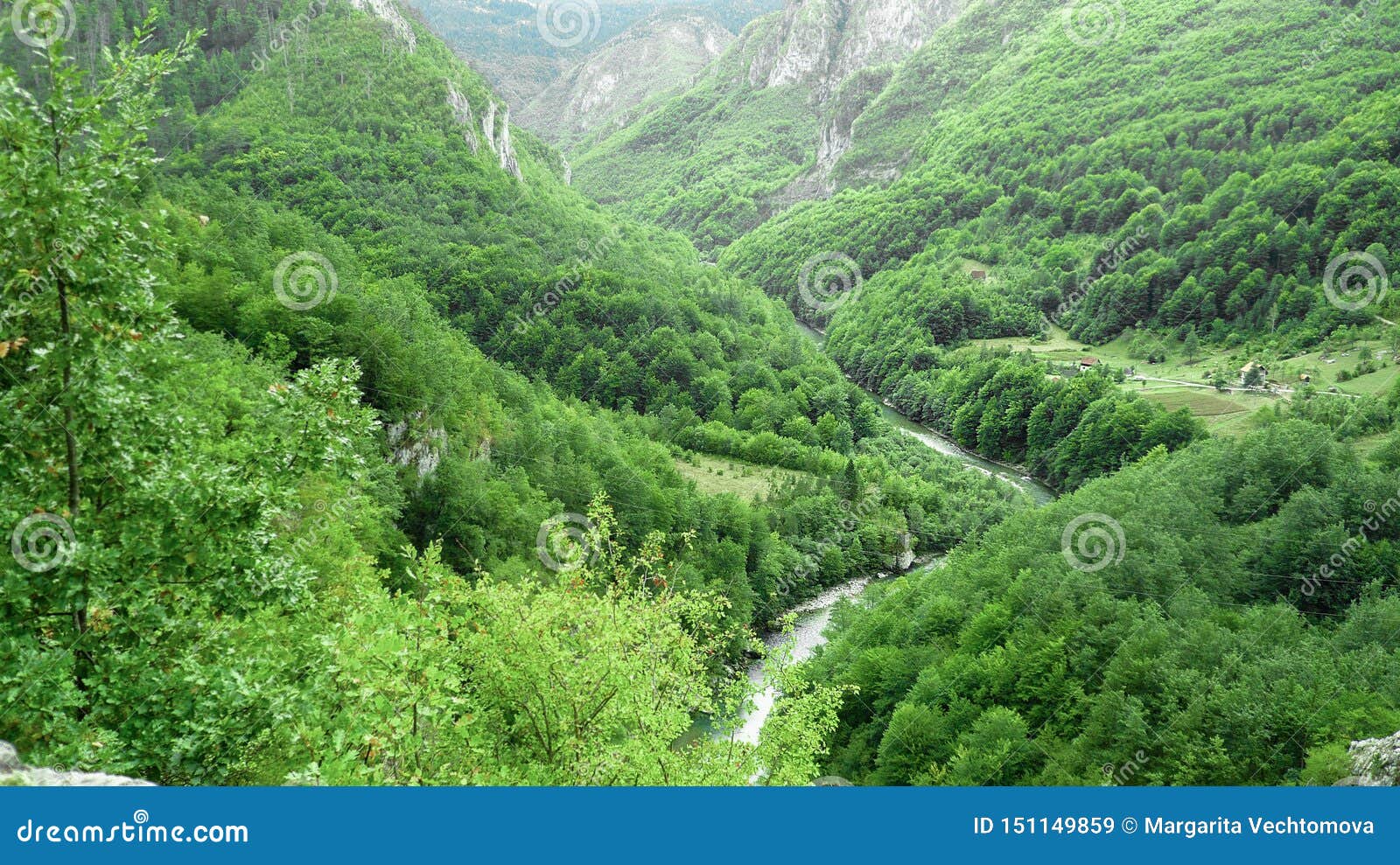 The River Flows between the Mountains Stock Image - Image of forest ...