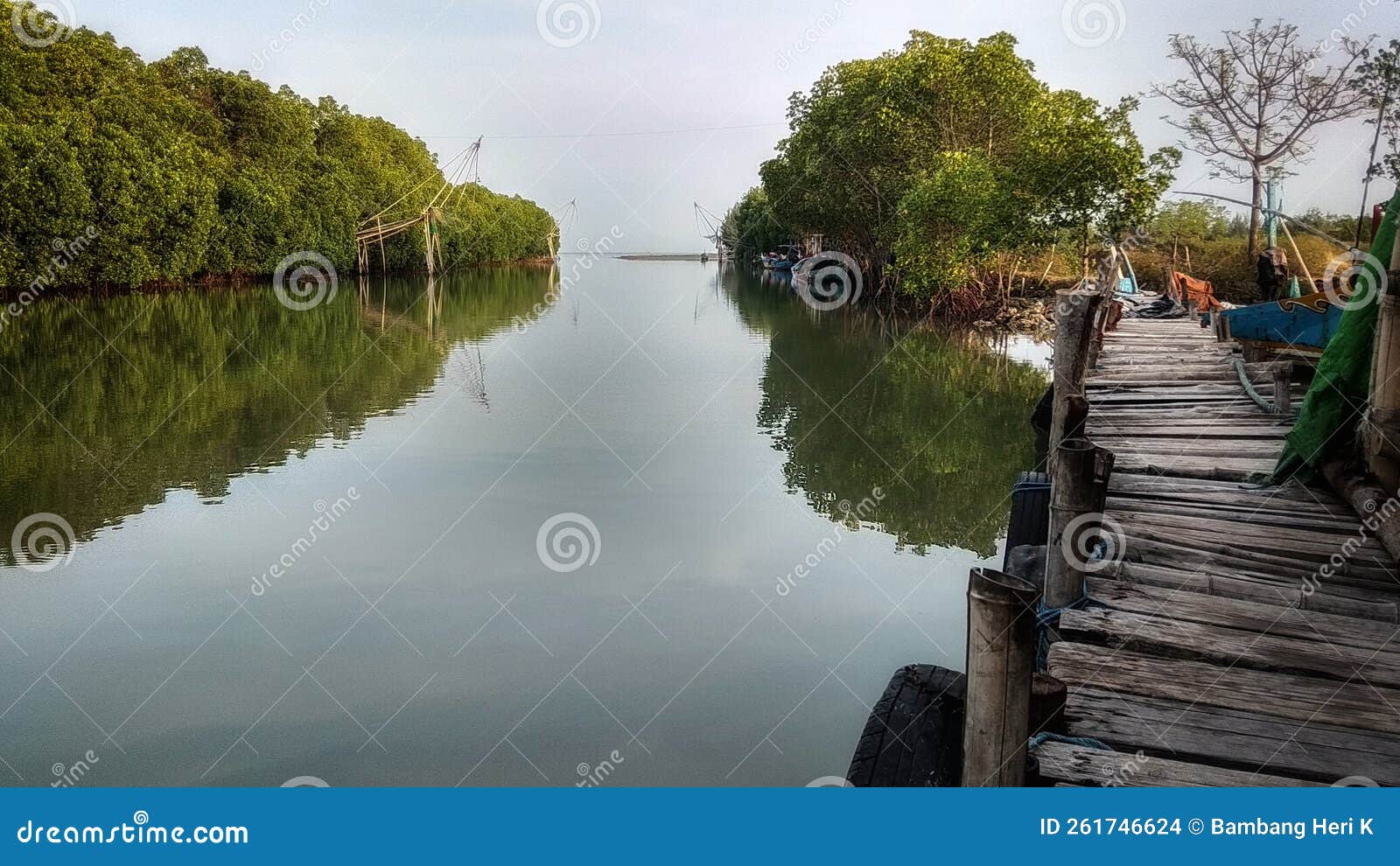 The River Flows into the Sea Stock Photo - Image of bridge, forest ...