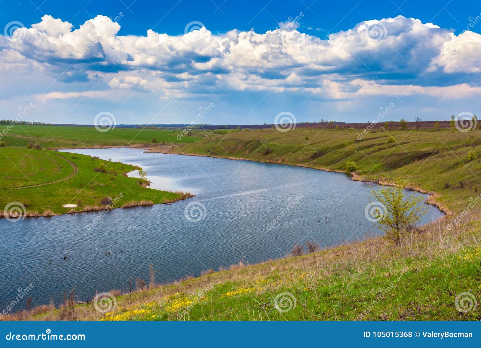 Green spring in Russia. stock photo. Image of landscape - 105015368