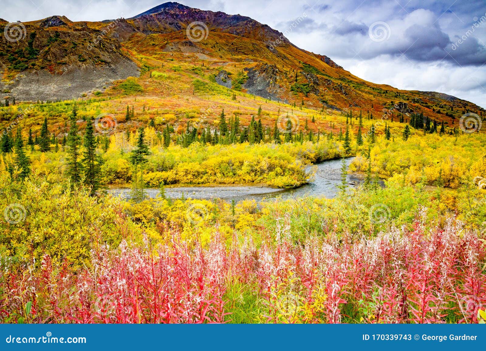 Fall colors on the tundra stock image. Image of green - 170339743