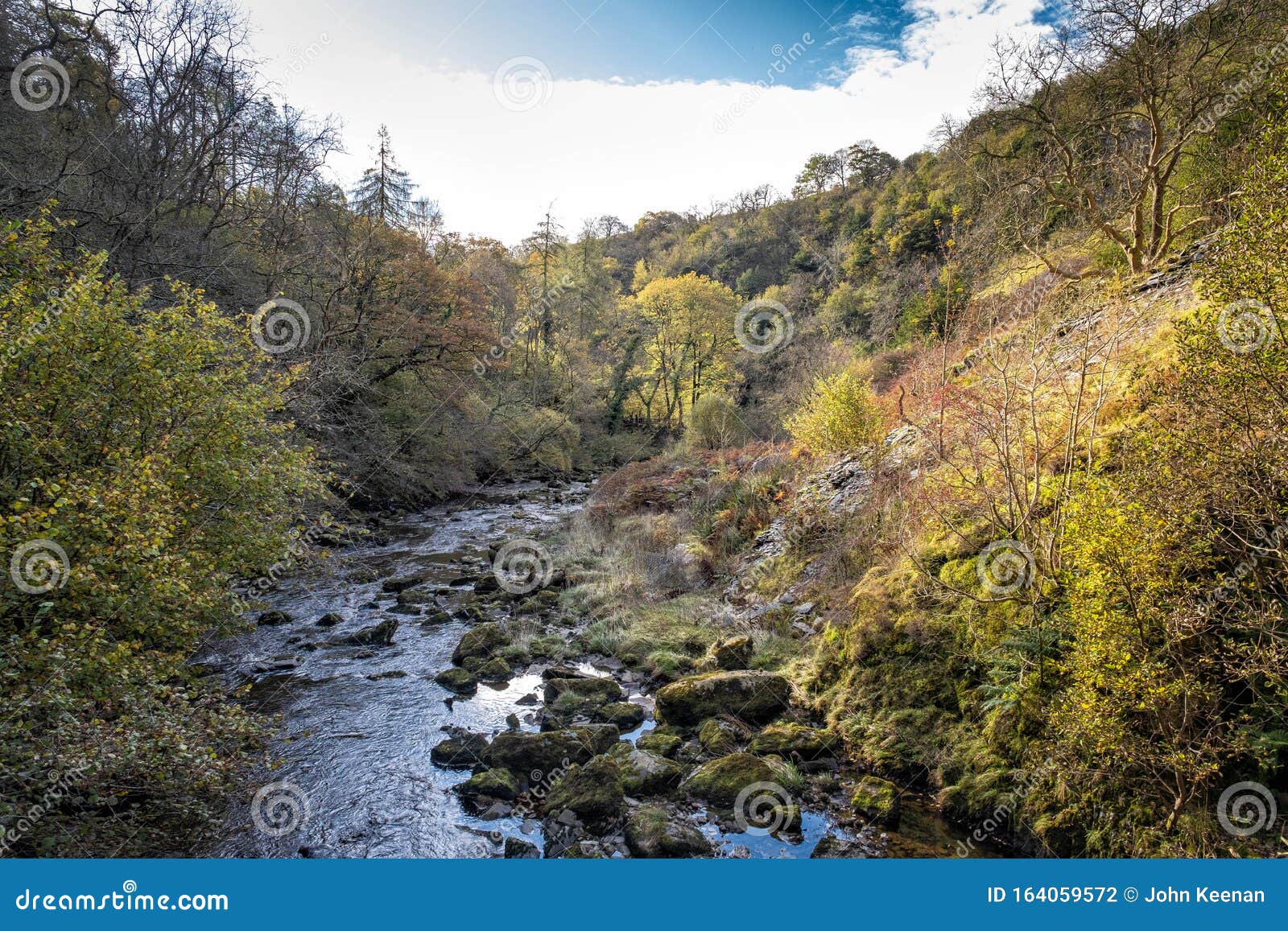A River Flows through a Wooded Valley Stock Photo - Image of england ...