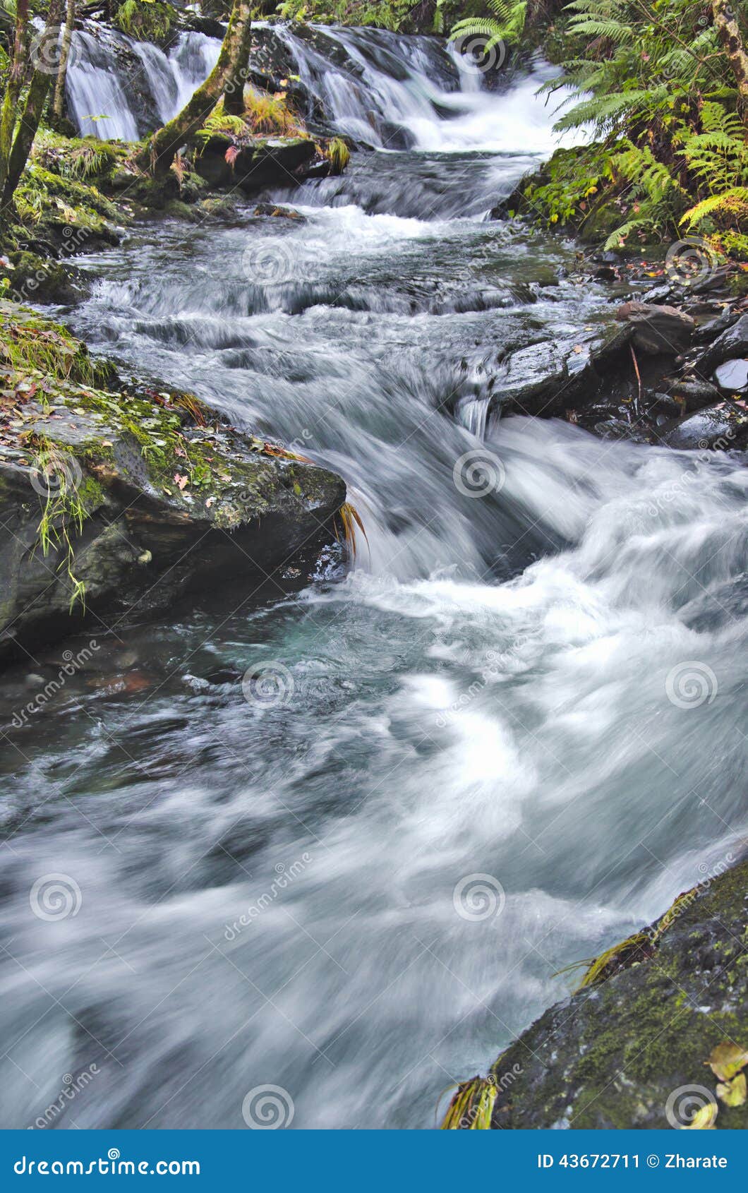 River stock image. Image of mountain, outdoors, tourist - 43672711
