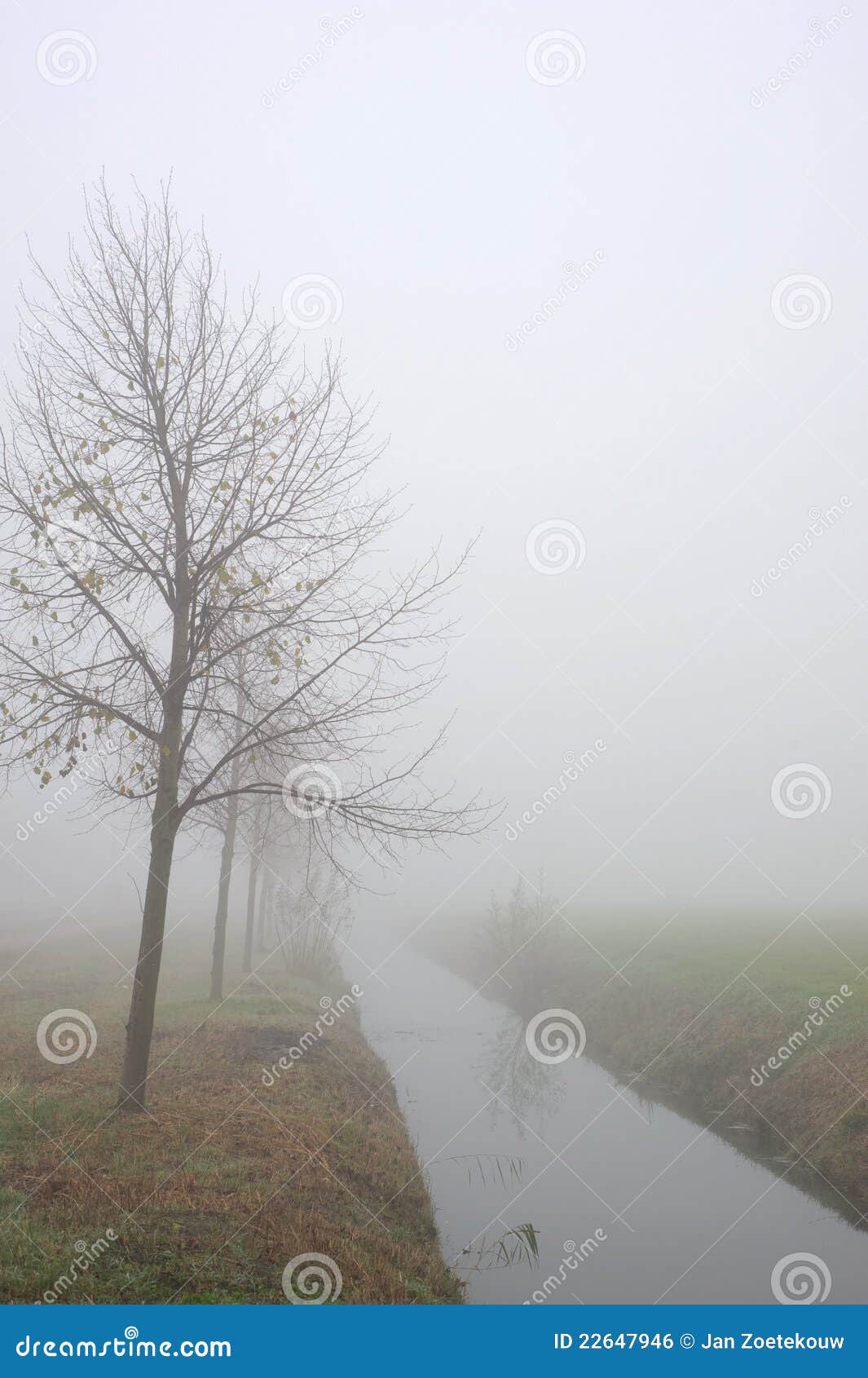 River into the fog stock photo. Image of river, stream - 22647946