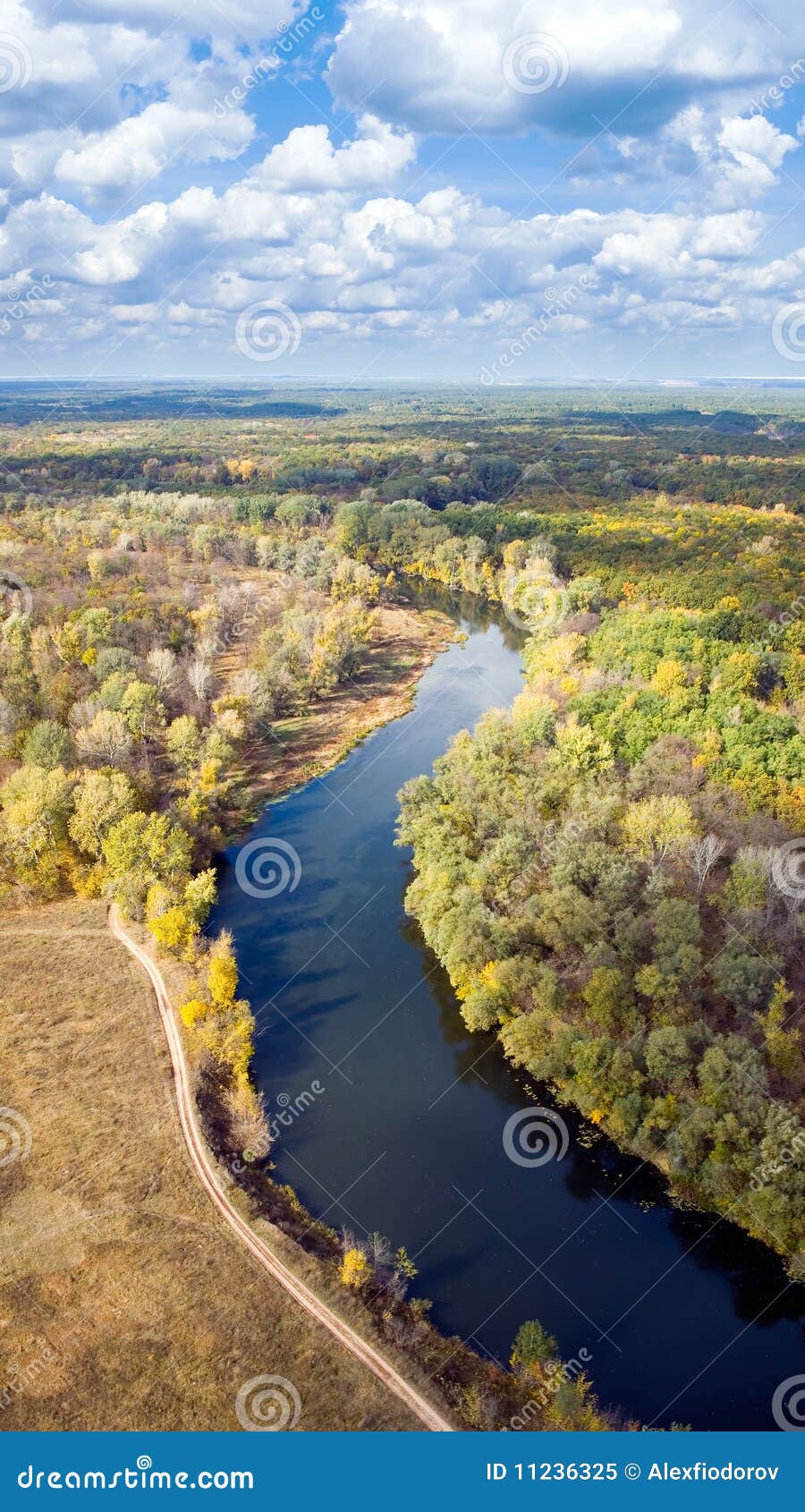 River and forest. stock image. Image of bright, foliage - 11236325